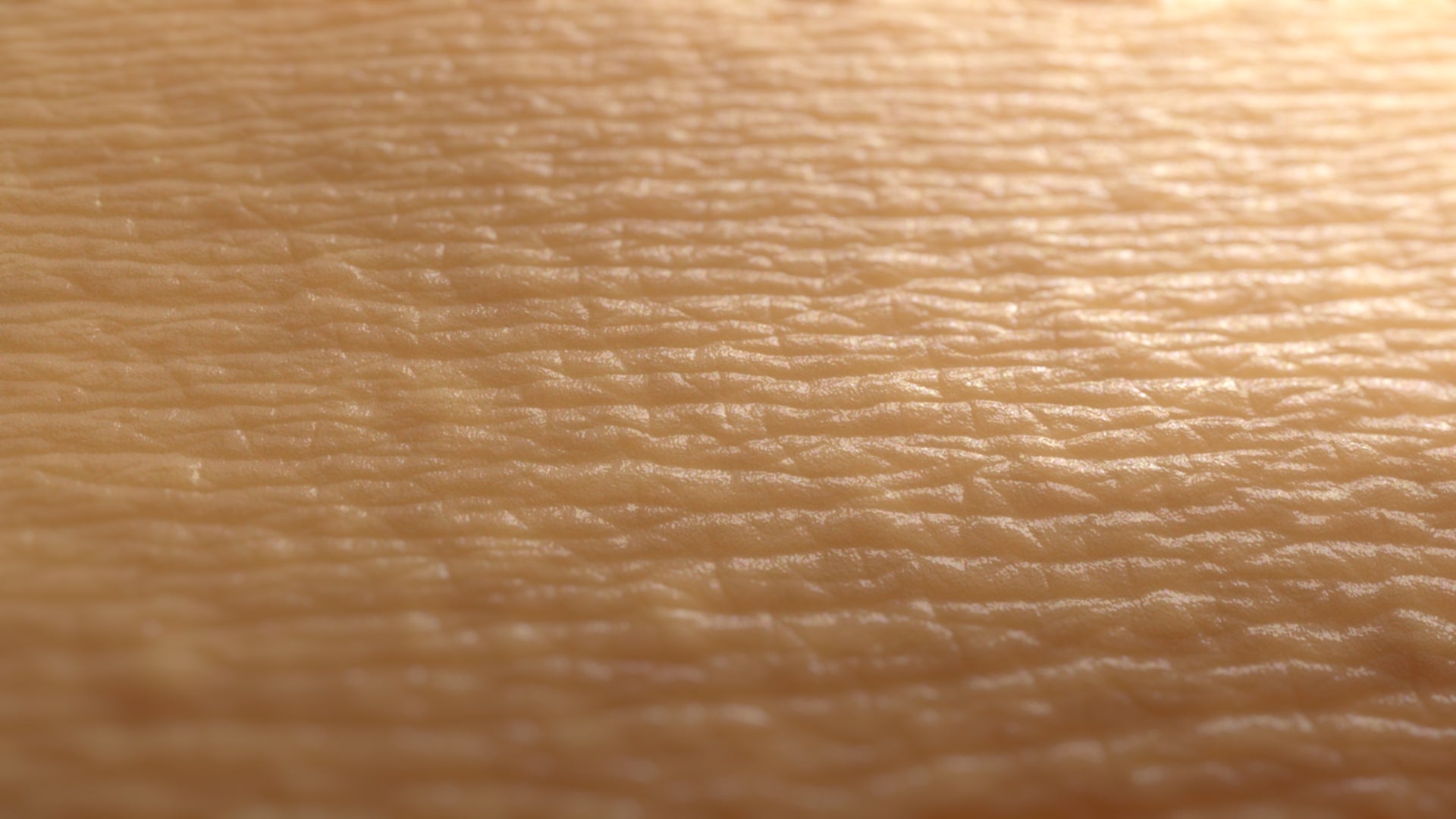 MicroSkin Belly #01 – Texturing.xyz