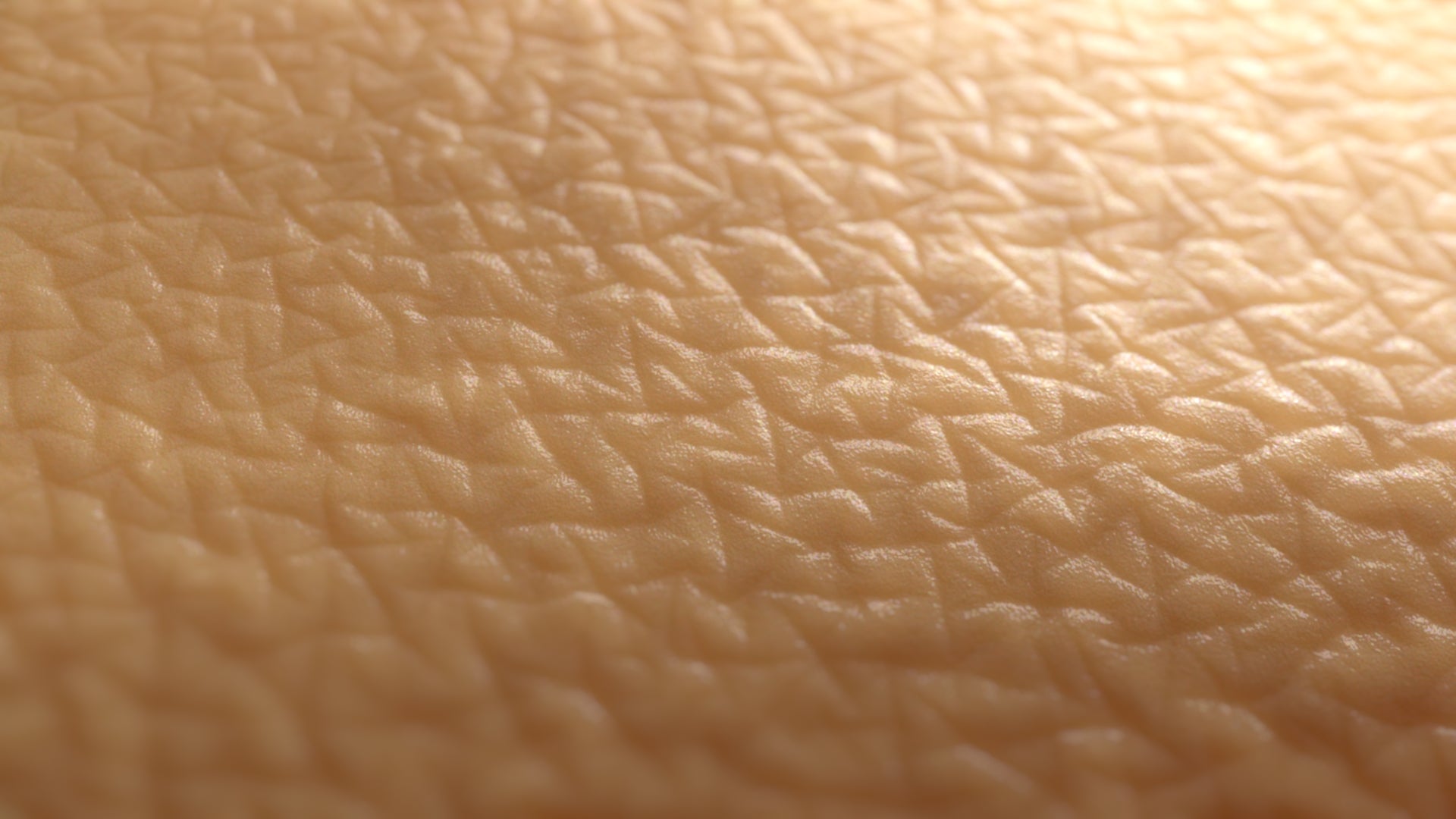 MicroSkin Leg #09 – Texturing.xyz