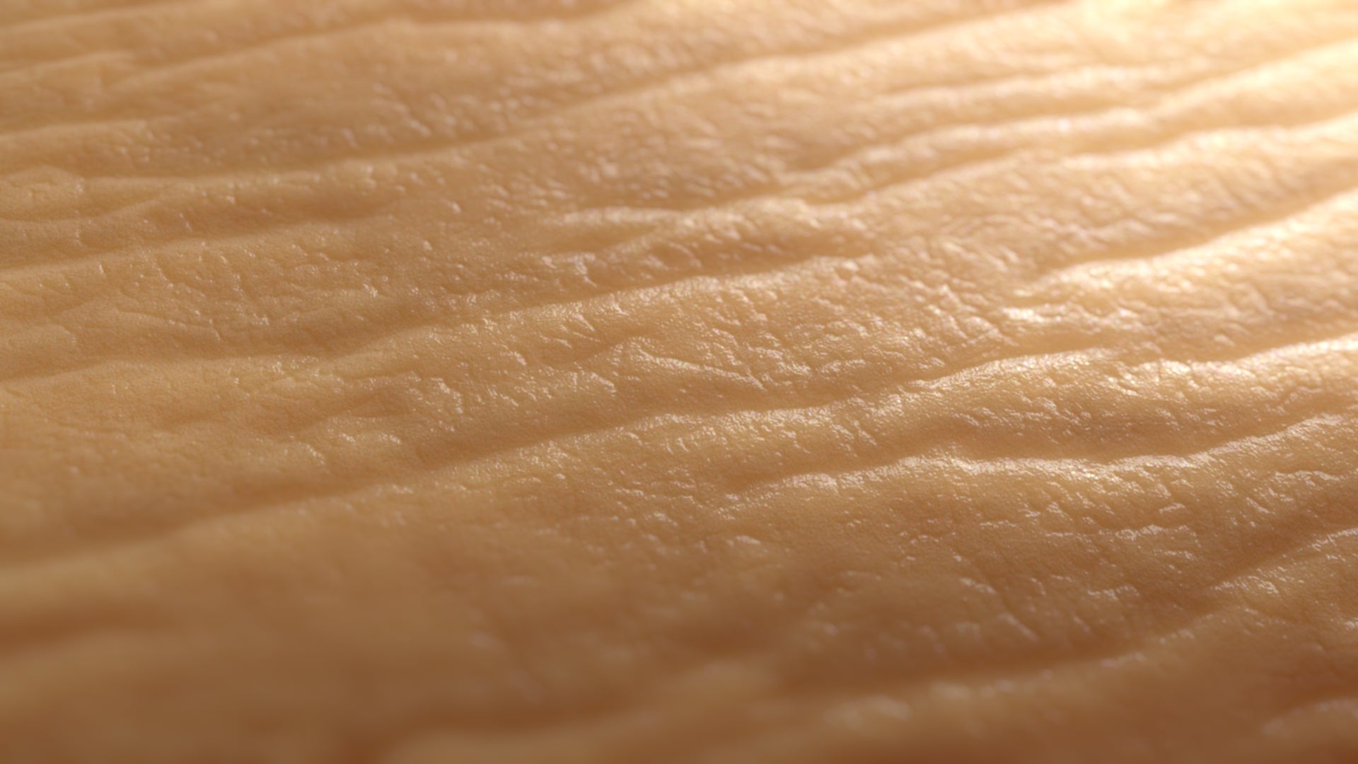 MicroSkin Elbow #01 – Texturing.xyz