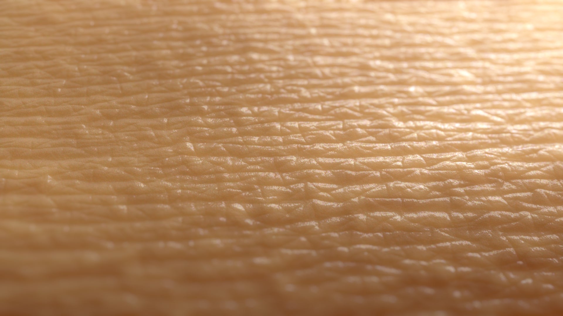 MicroSkin Belly #02 – Texturing.xyz