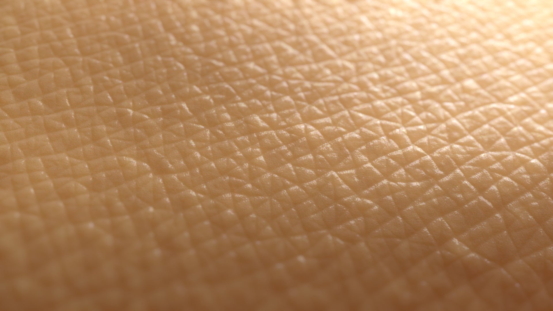 MicroSkin PalmFeet #02 – Texturing.xyz