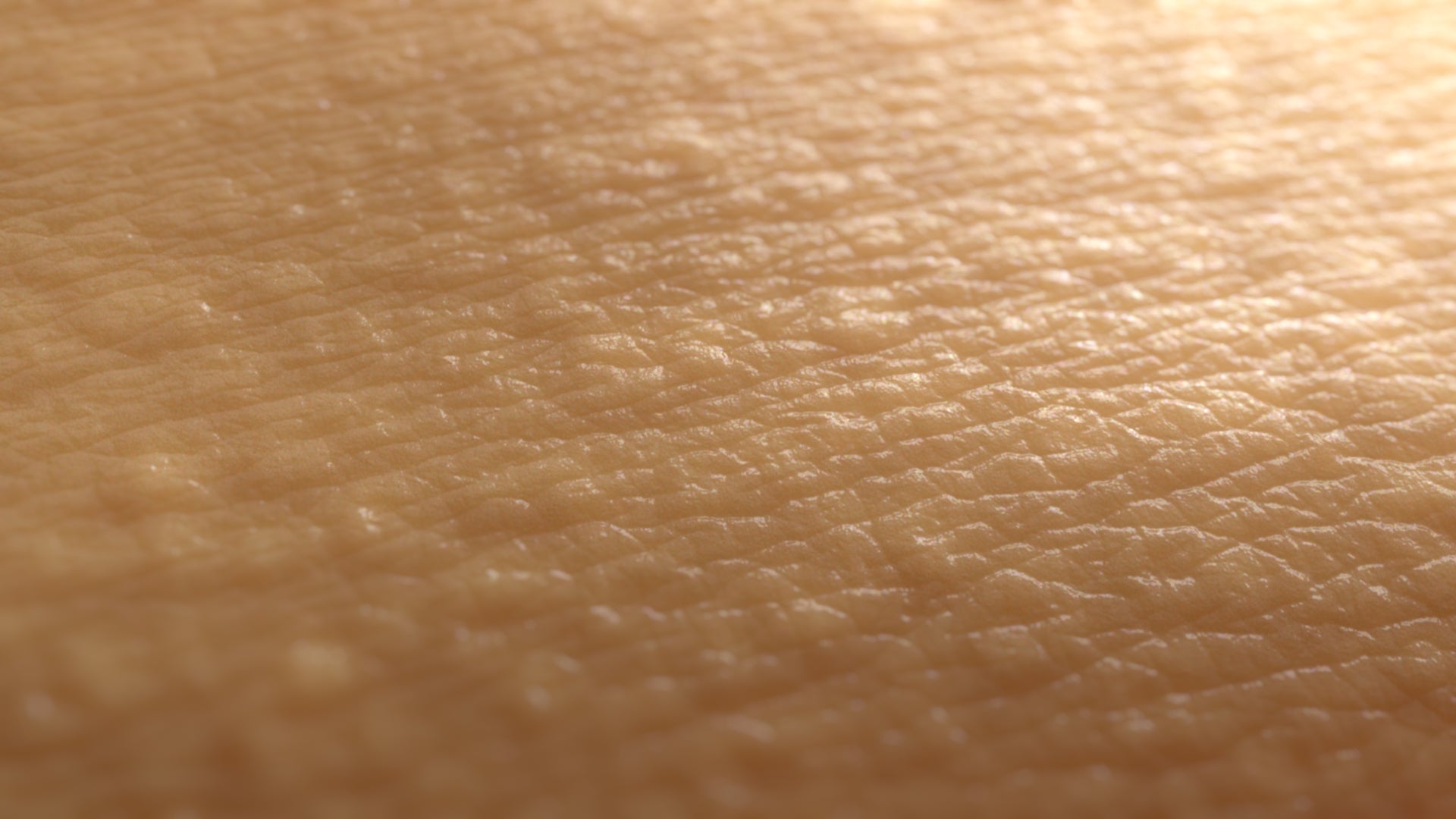 MicroSkin Neck #01 – Texturing.xyz