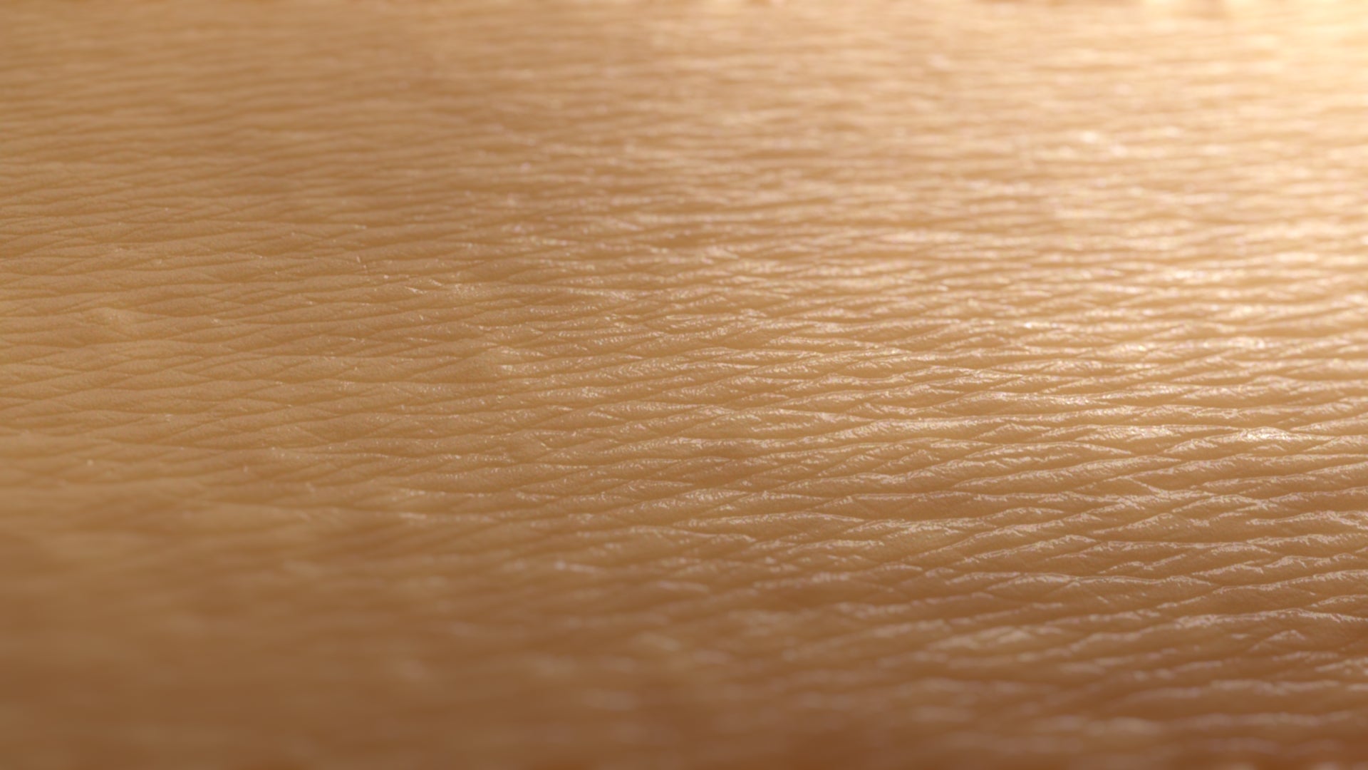 MicroSkin Back #02 – Texturing.xyz