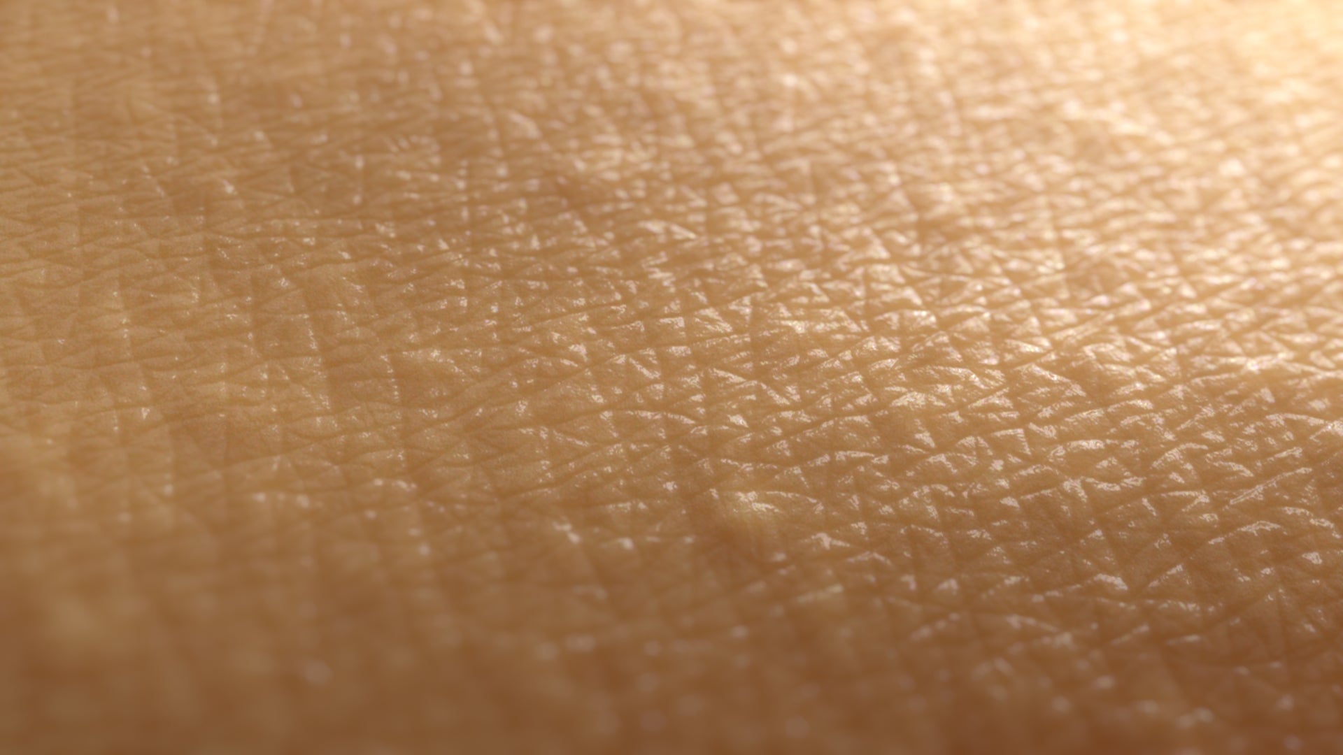 MicroSkin UpperChest #02 – Texturing.xyz