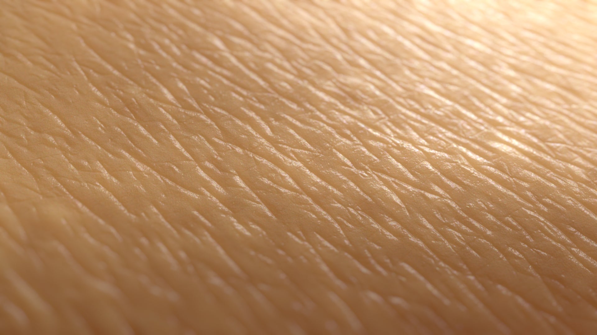 MicroSkin Leg #03 – Texturing.xyz