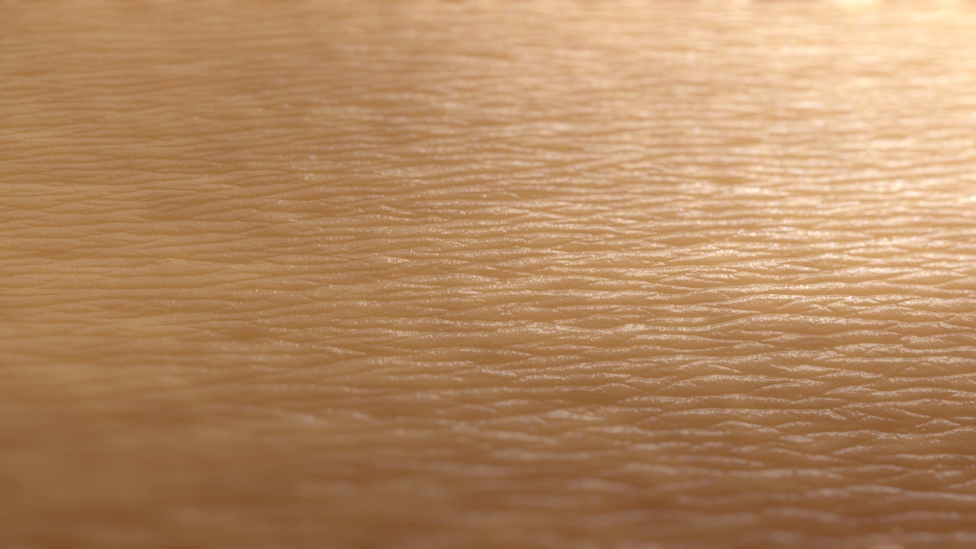 MicroSkin Back #03 – Texturing.xyz