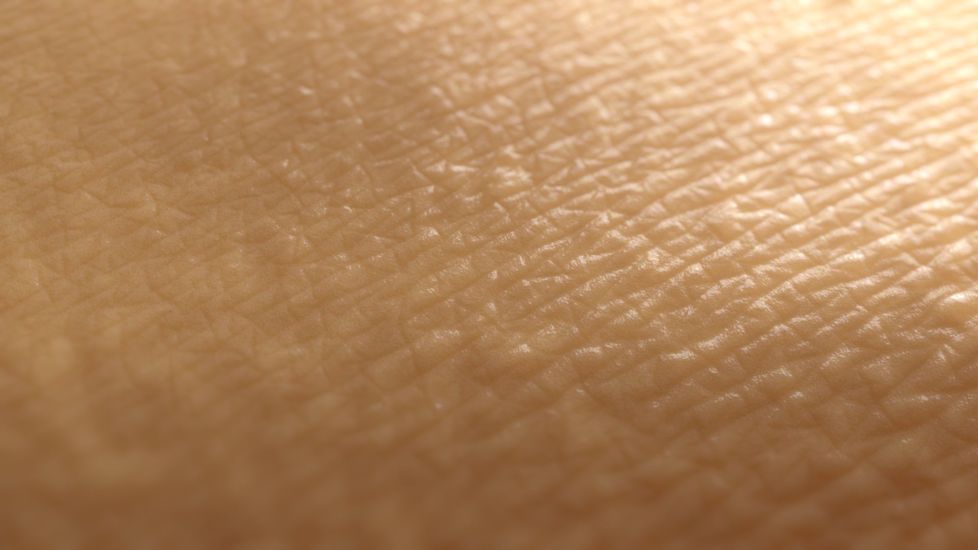 MicroSkin Leg #11 – Texturing.xyz