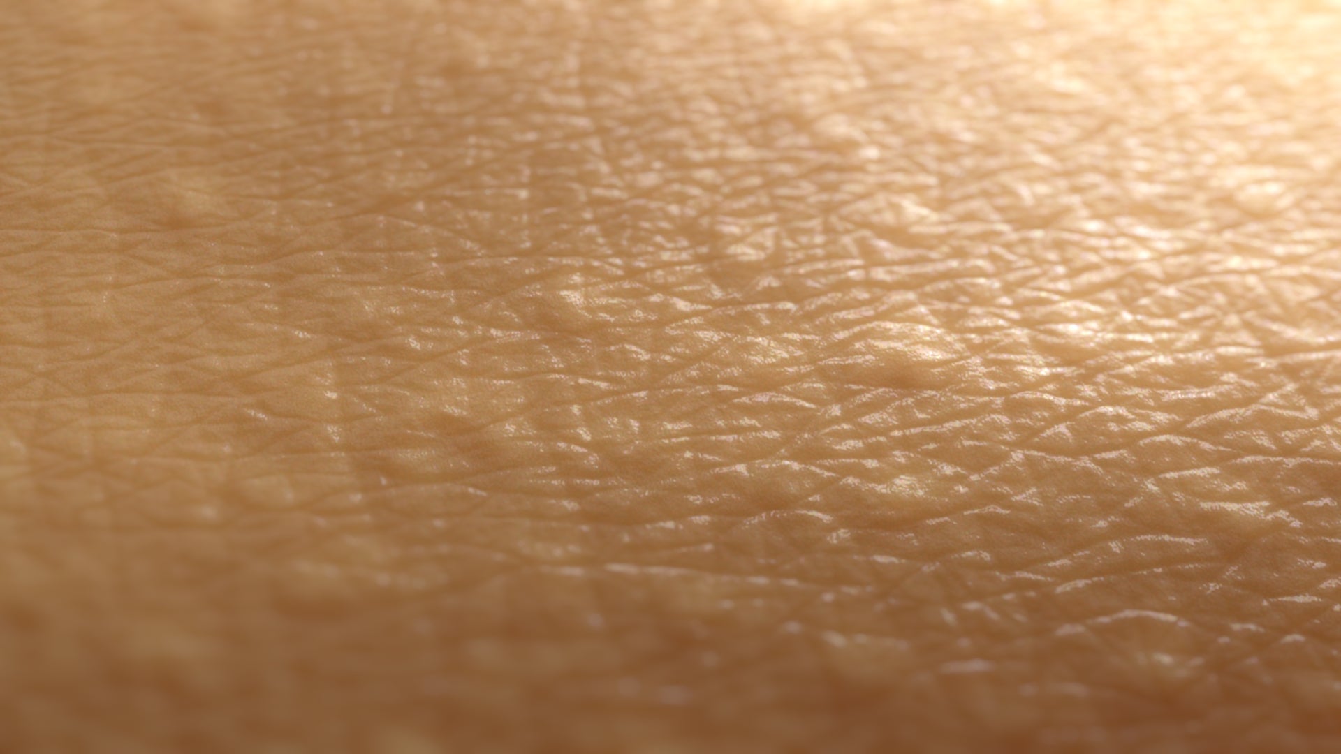 MicroSkin UpperChest #03 – Texturing.xyz