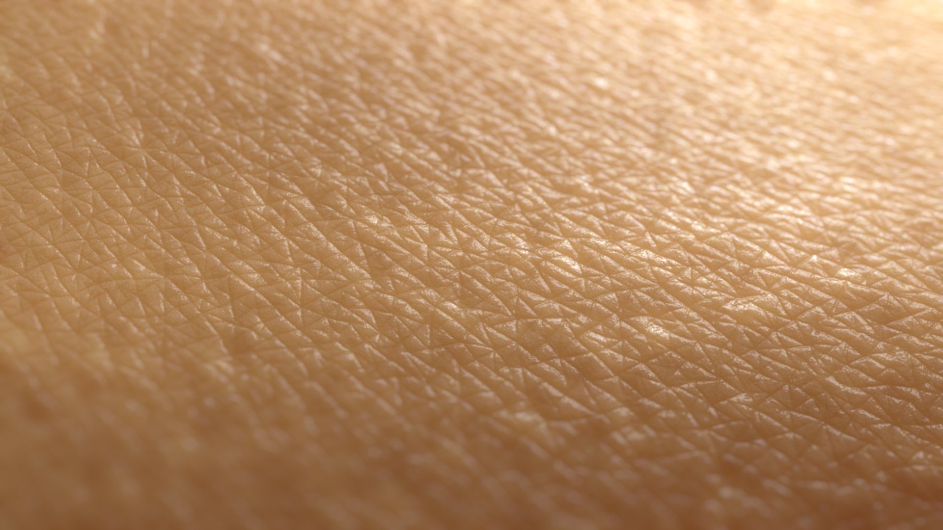 MicroSkin Arm #04 – Texturing.xyz