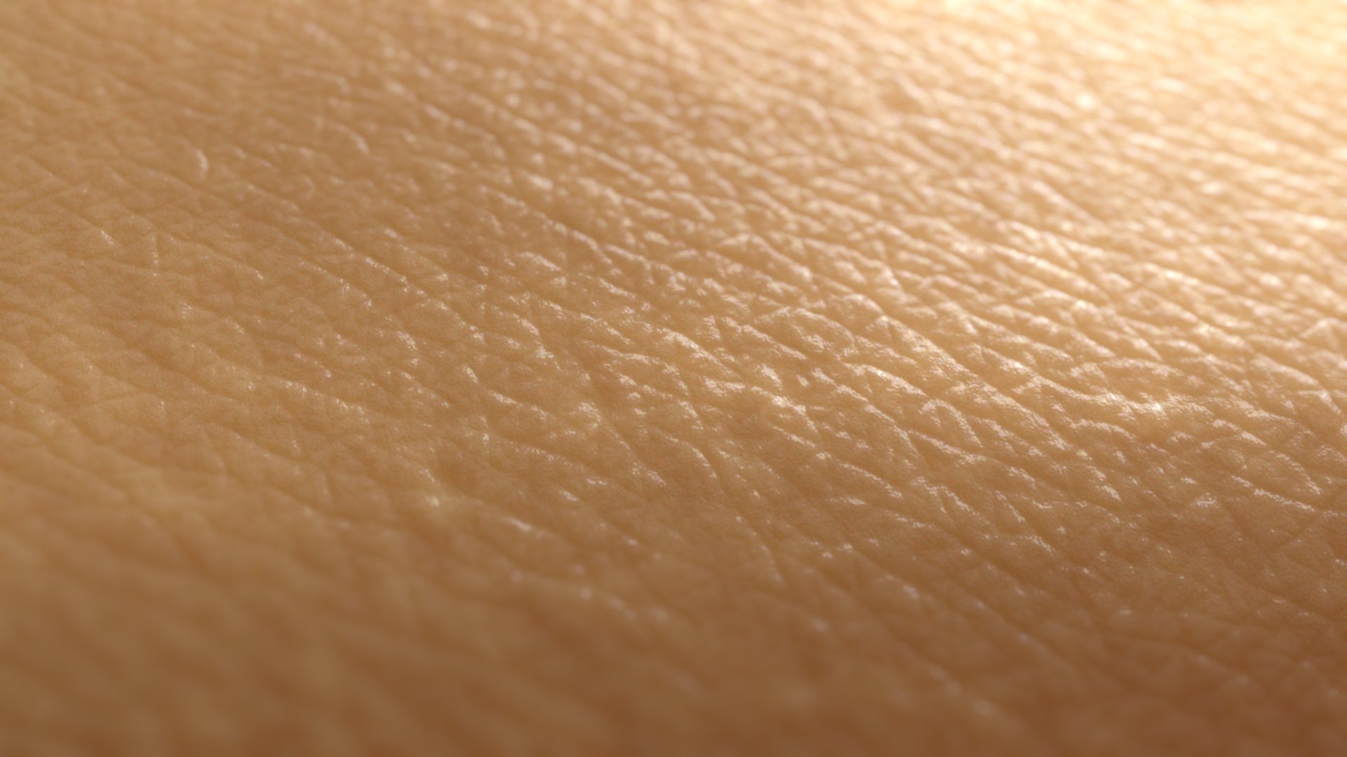 MicroSkin Arm #14 – Texturing.xyz