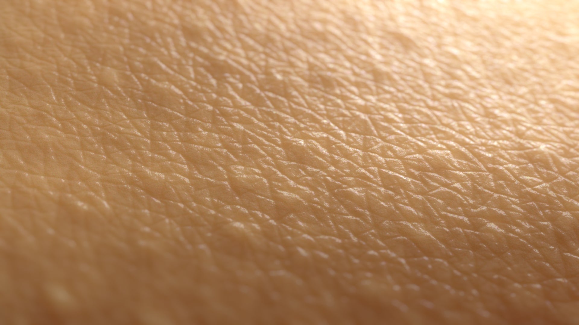 MicroSkin UpperChest #04 – Texturing.xyz