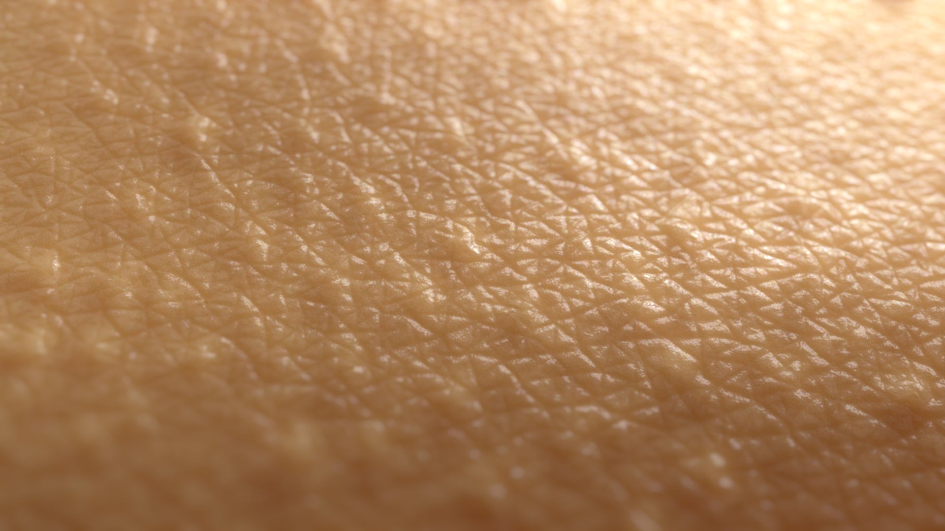 MicroSkin Shoulders #07 – Texturing.xyz