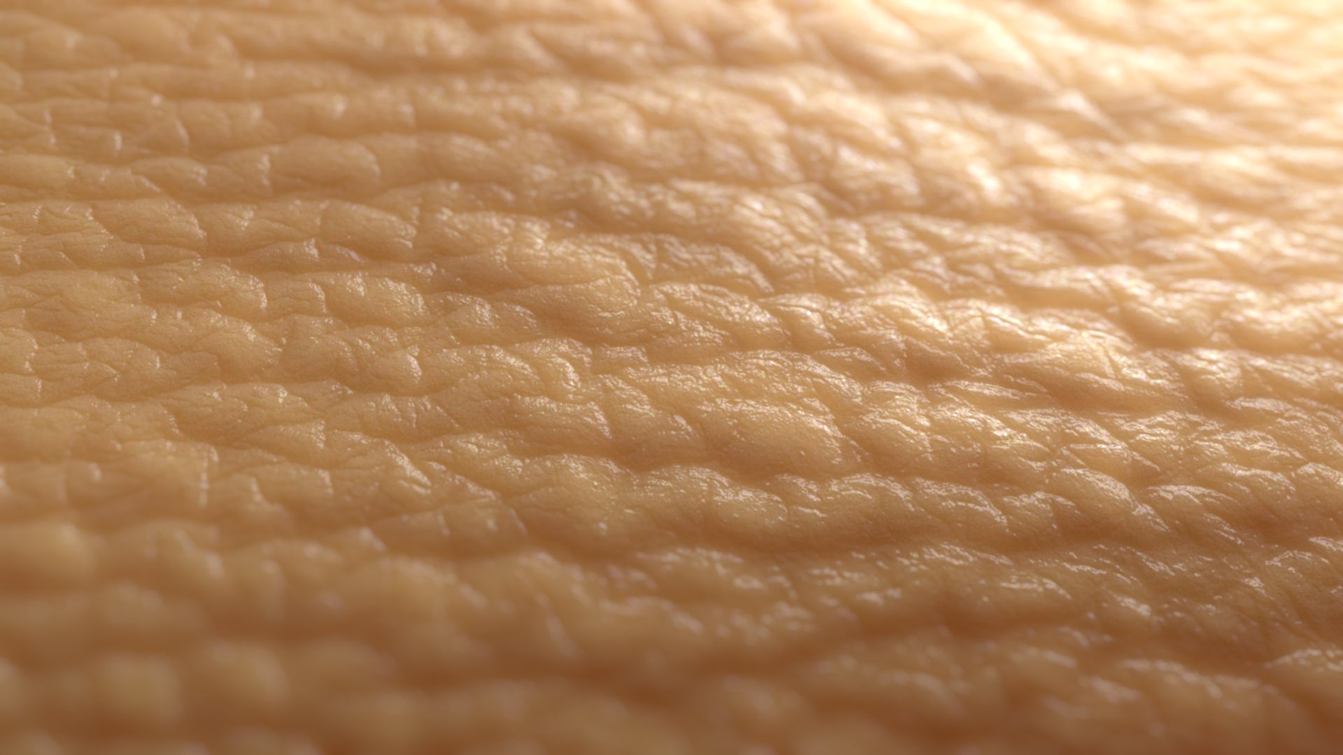 MicroSkin Arm #05 – Texturing.xyz