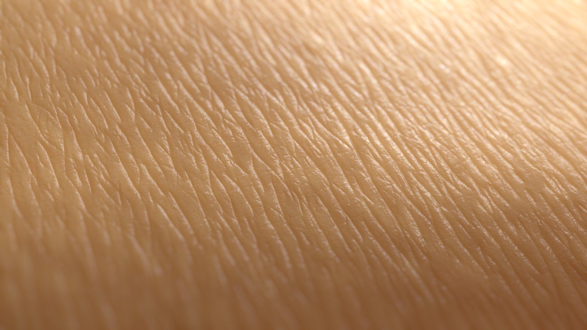 MicroSkin Leg #05 – Texturing.xyz