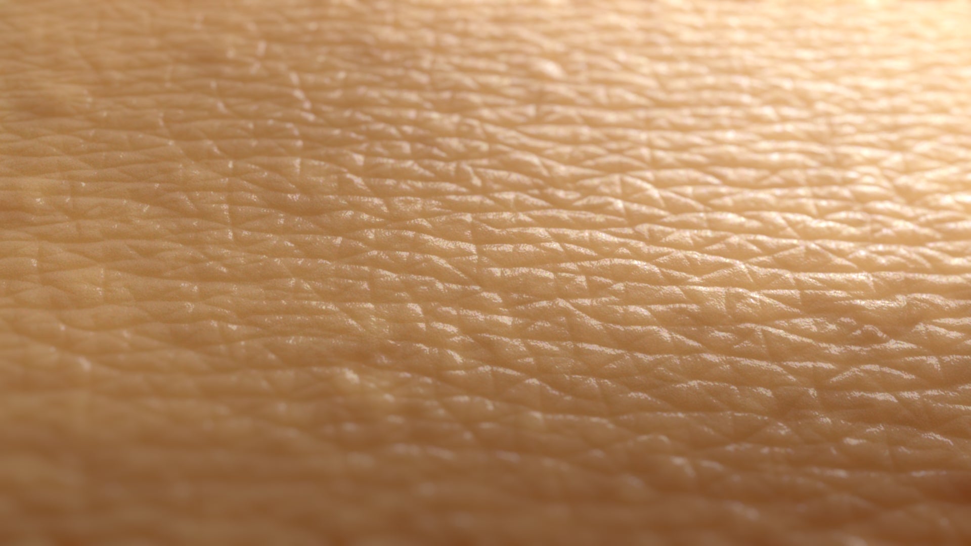 MicroSkin Belly #05 – Texturing.xyz