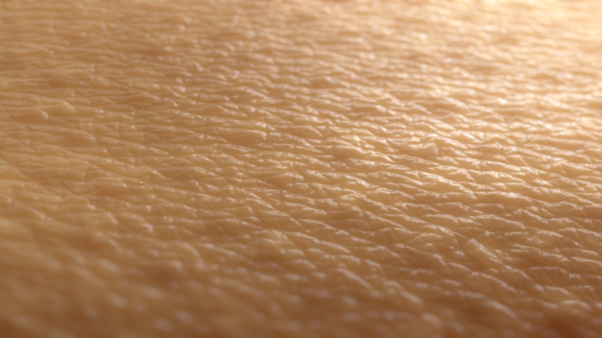 MicroSkin UpperChest #05 – Texturing.xyz