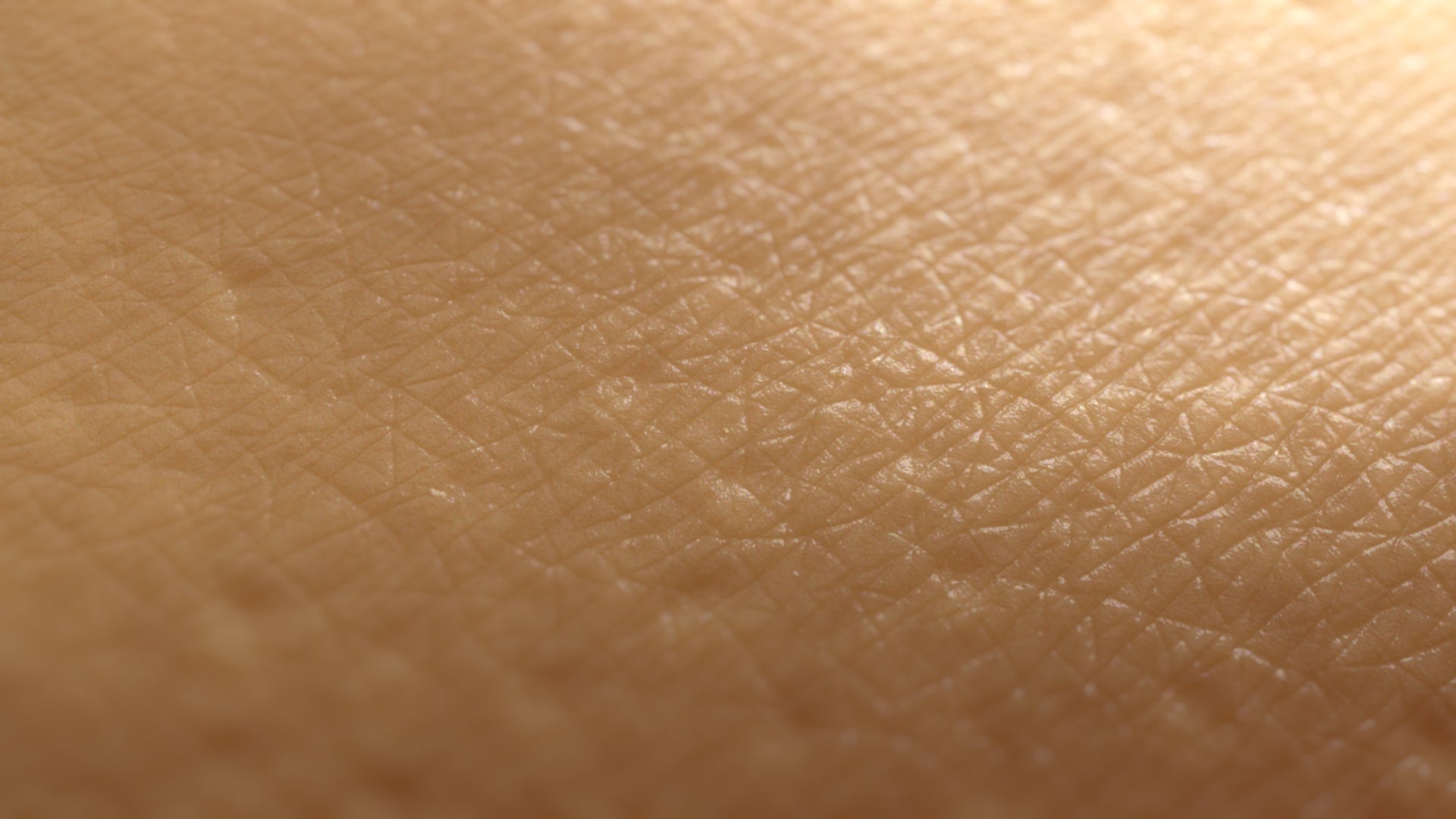 MicroSkin Arm #06 – Texturing.xyz