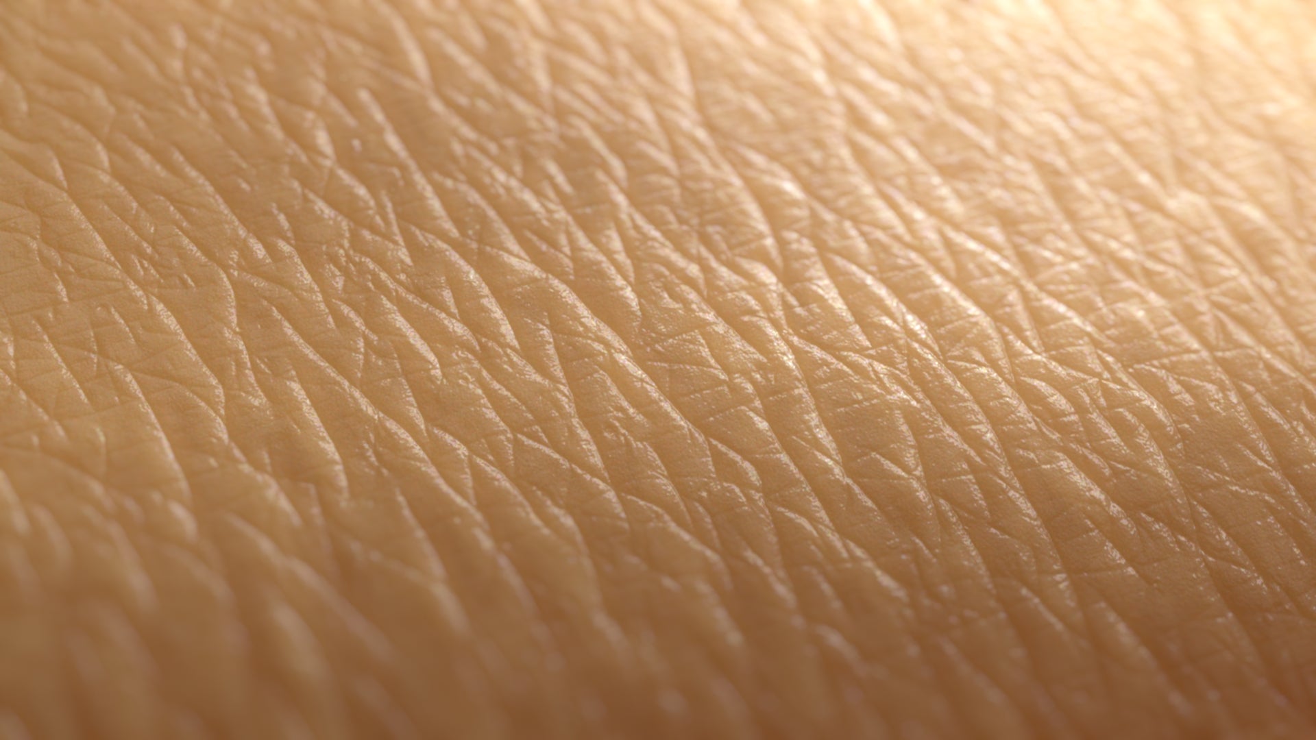 MicroSkin Leg #06 – Texturing.xyz