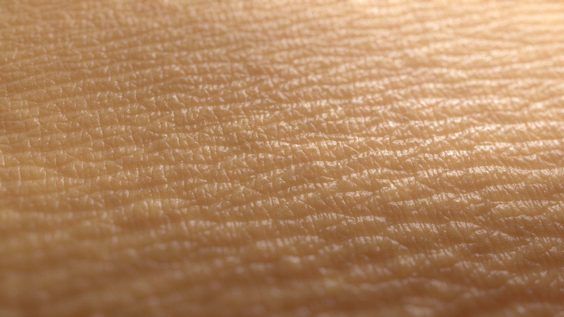 MicroSkin Arm #07 – Texturing.xyz