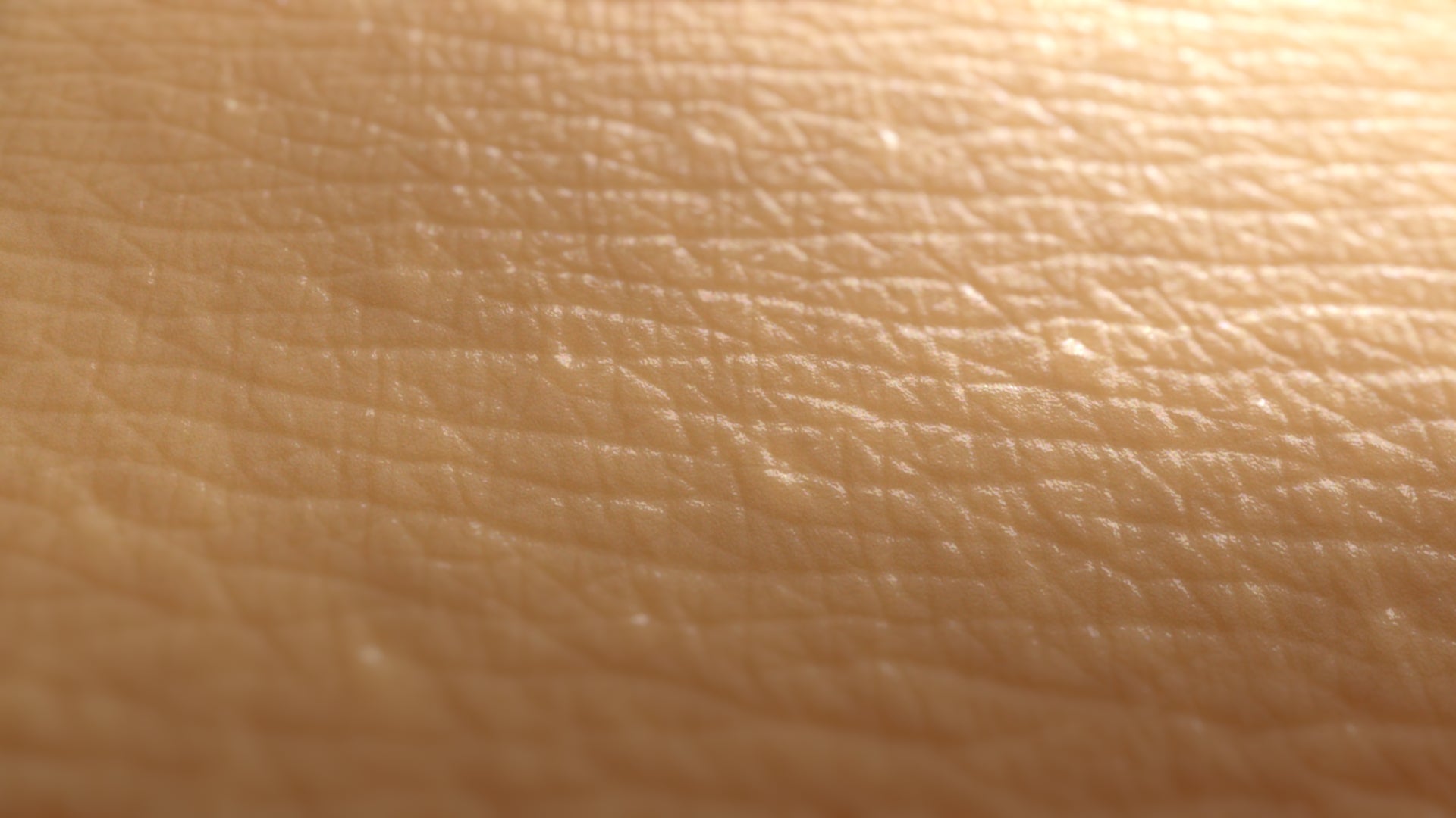 MicroSkin Leg #15 – Texturing.xyz