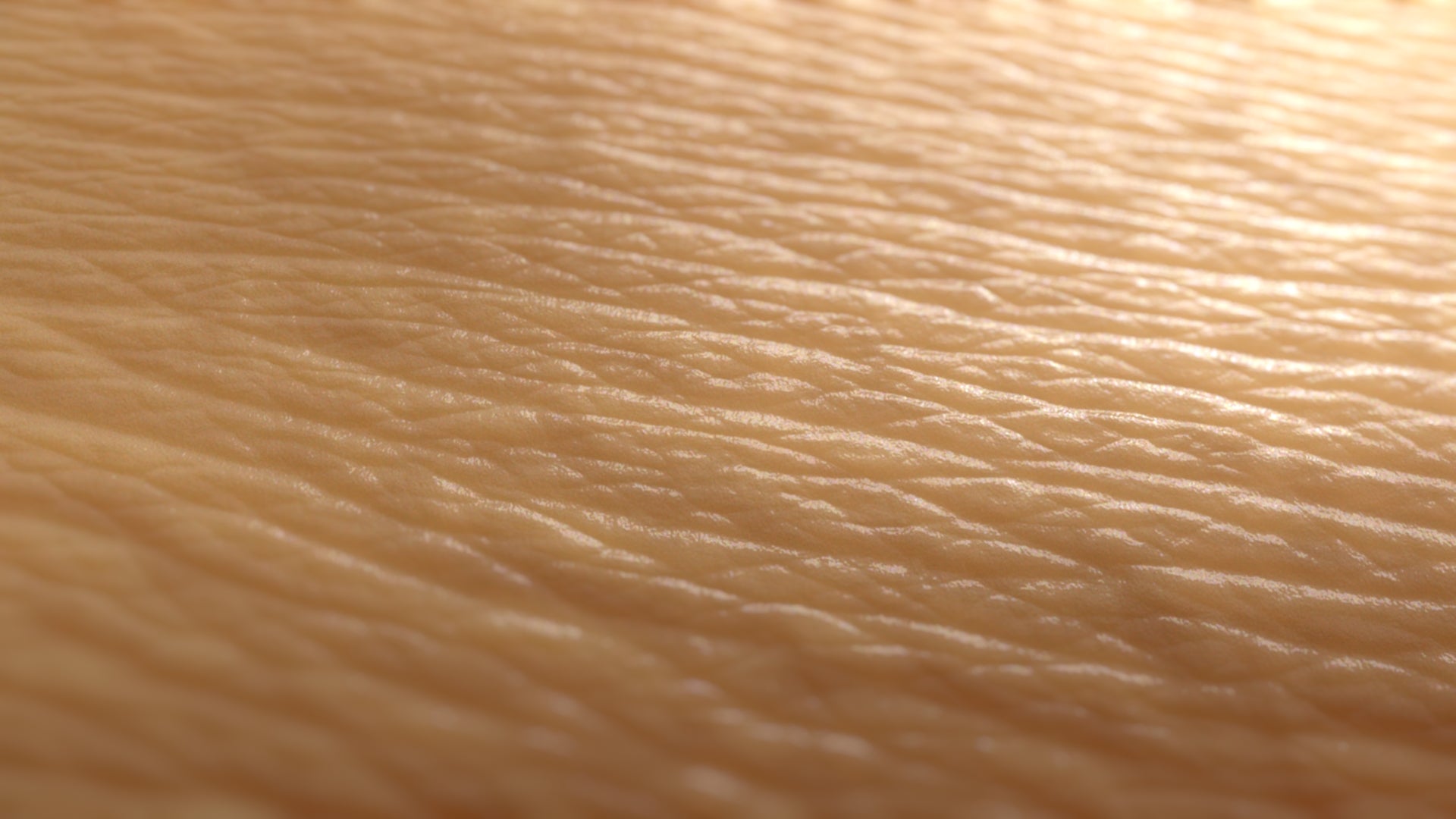 MicroSkin Belly #07 – Texturing.xyz