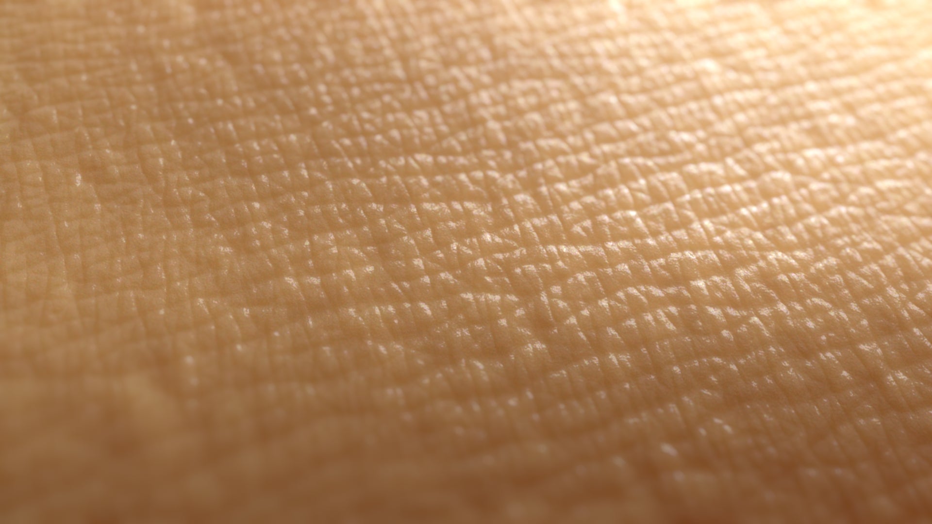 MicroSkin Arm #18 – Texturing.xyz