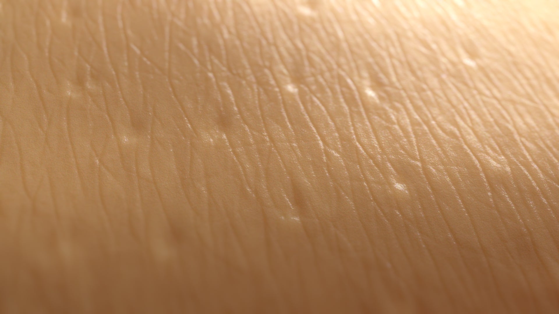 MicroSkin Leg #16 – Texturing.xyz