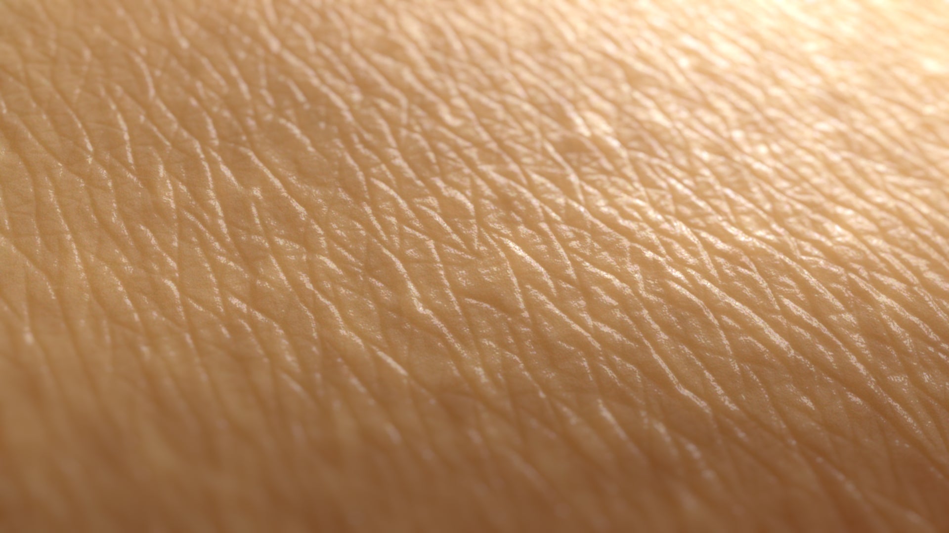 MicroSkin Shoulders #11 – Texturing.xyz