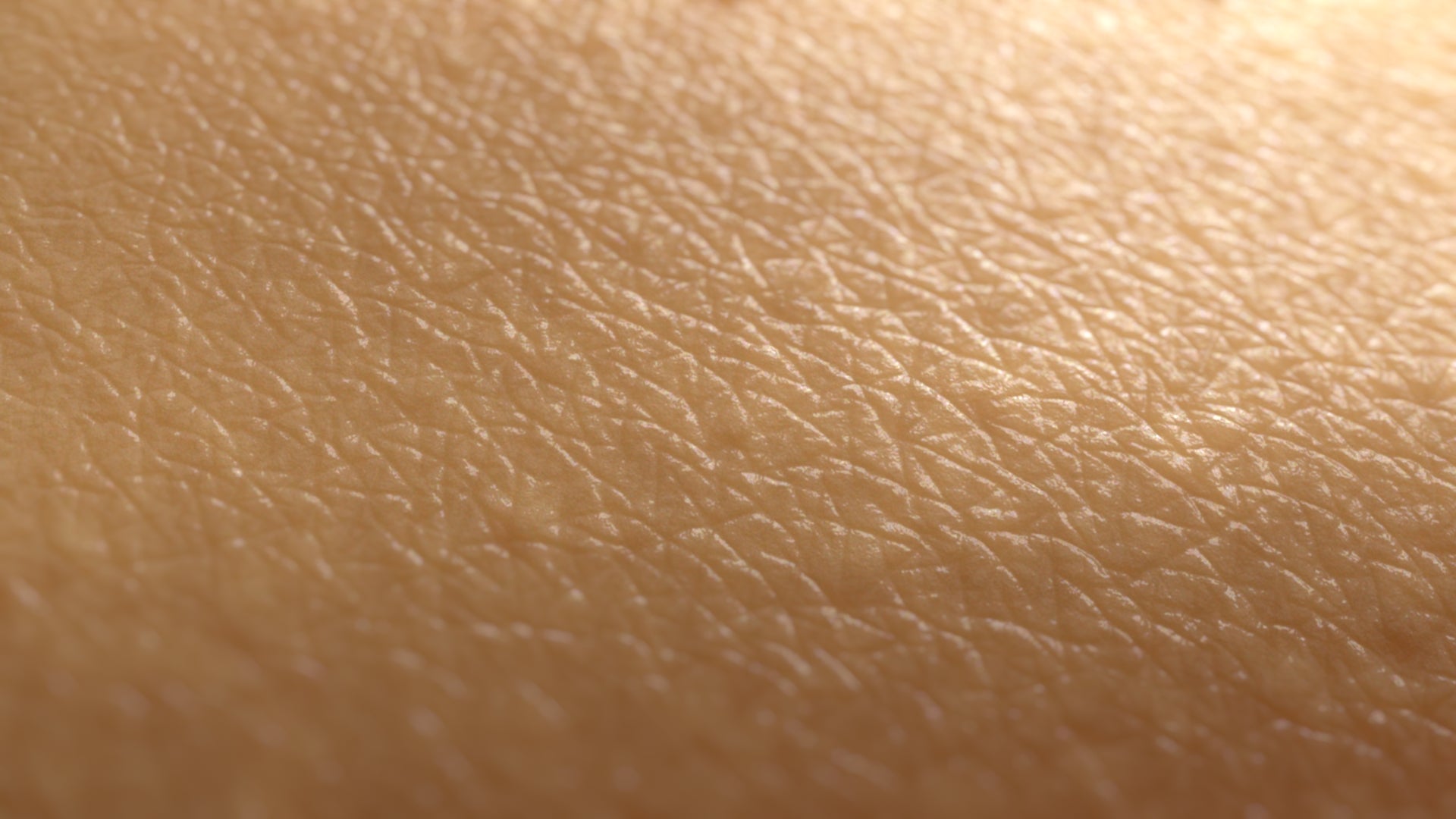 MicroSkin UpperChest #08 – Texturing.xyz