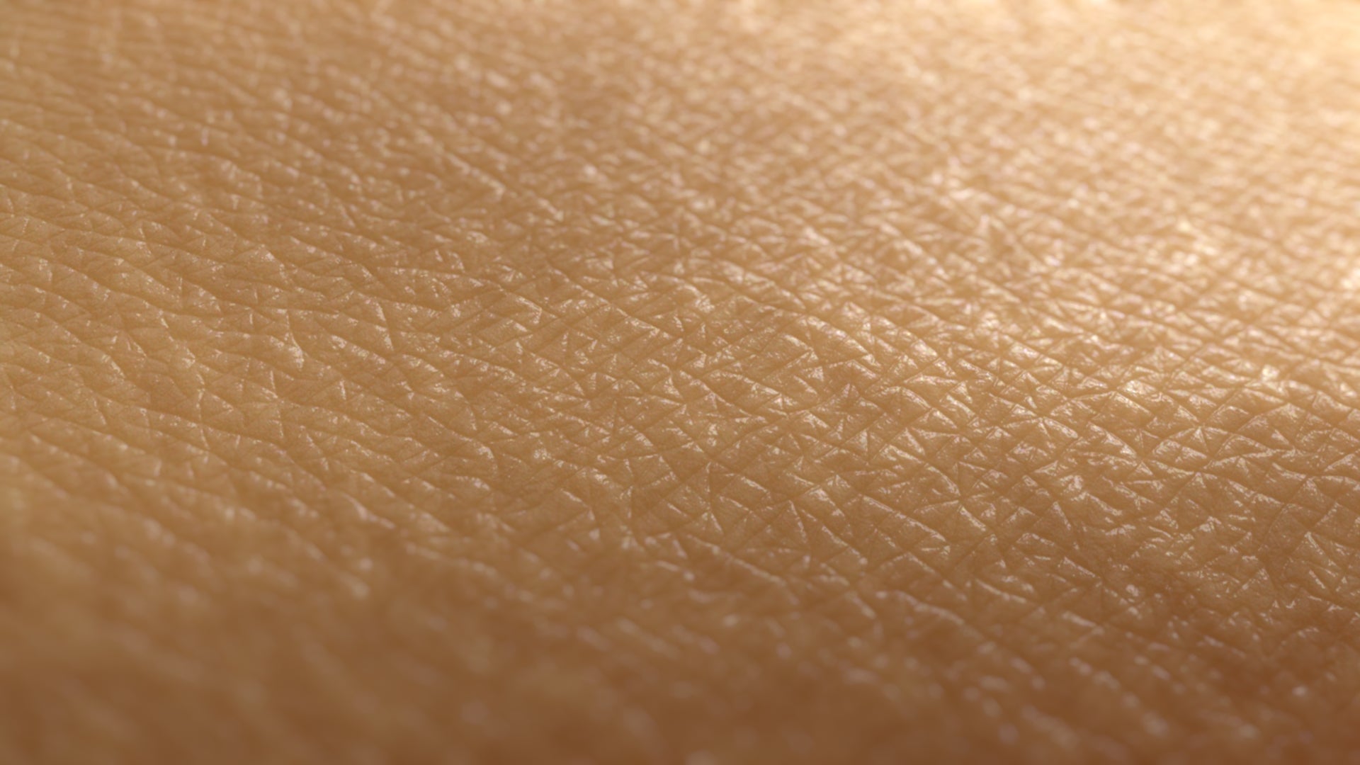 MicroSkin Arm #09 – Texturing.xyz