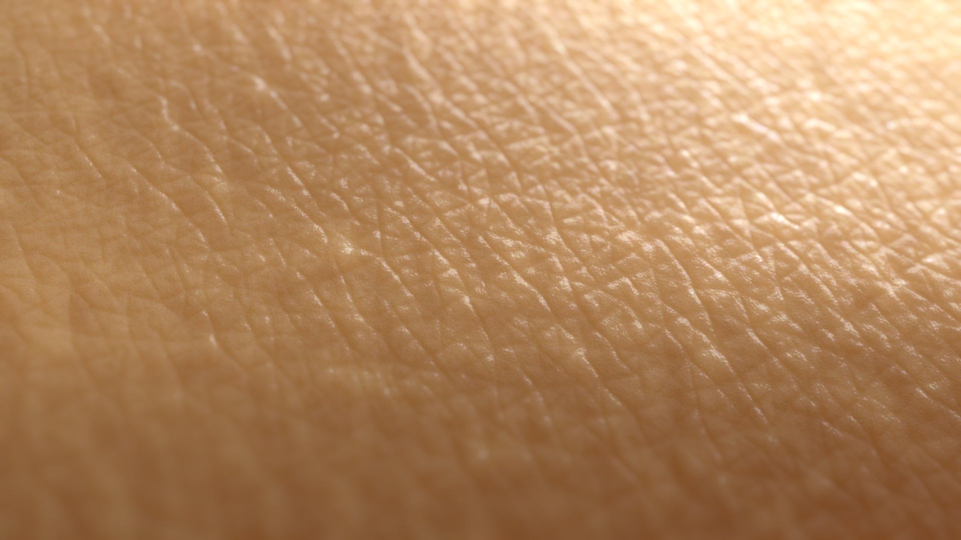 MicroSkin Arm #20 – Texturing.xyz