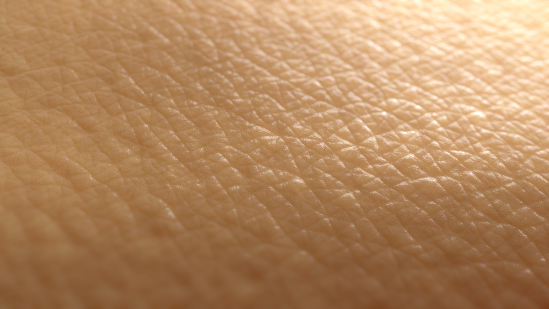 MicroSkin Arm #21 – Texturing.xyz