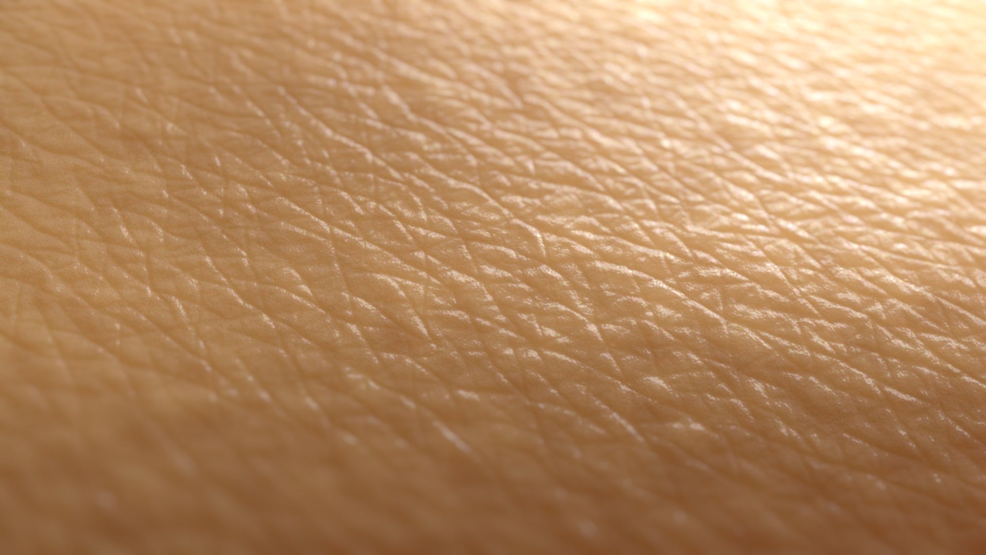 MicroSkin Shoulders #14 – Texturing.xyz