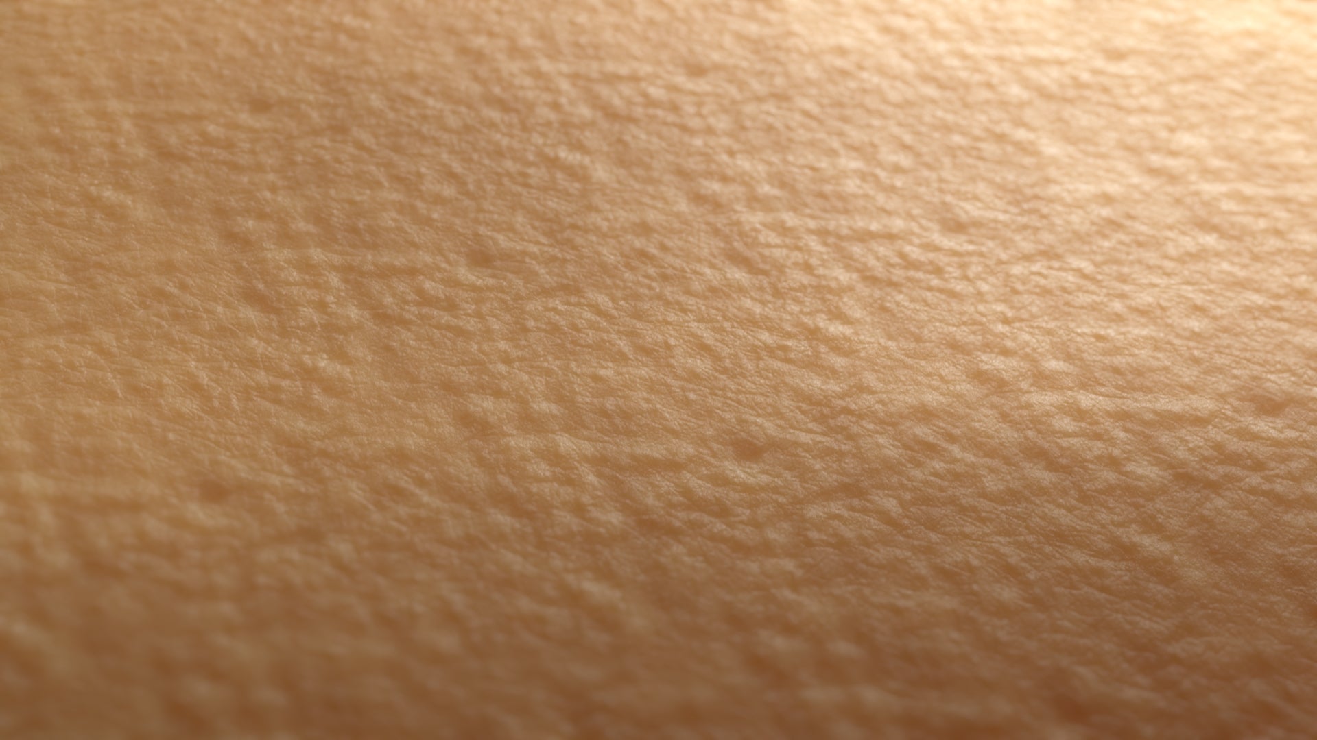 MicroSkin Face Cheek #25 – Texturing.xyz