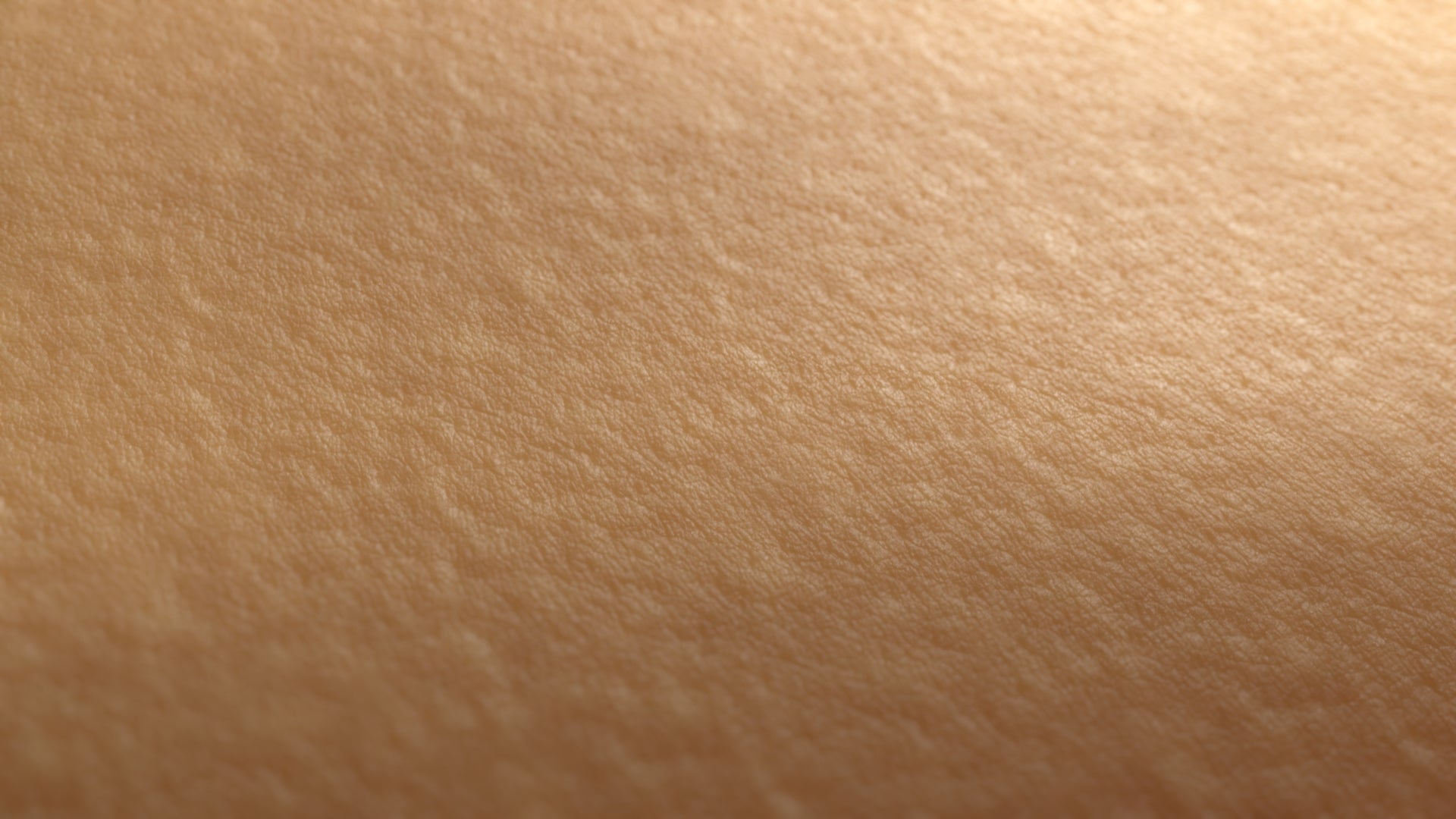 MicroSkin Face Cheek #24 – Texturing.xyz