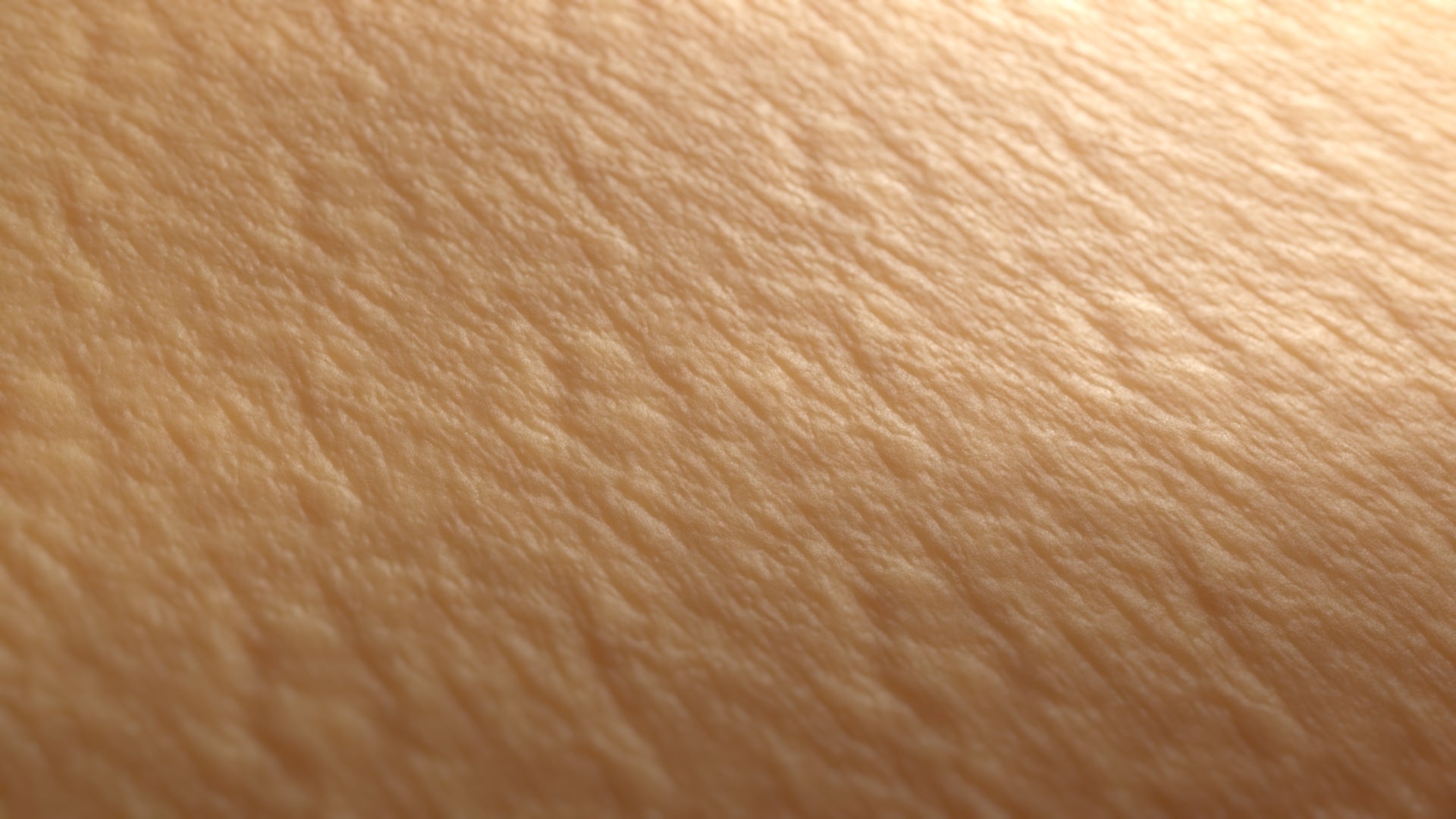 MicroSkin Face Cheek #01 – Texturing.xyz