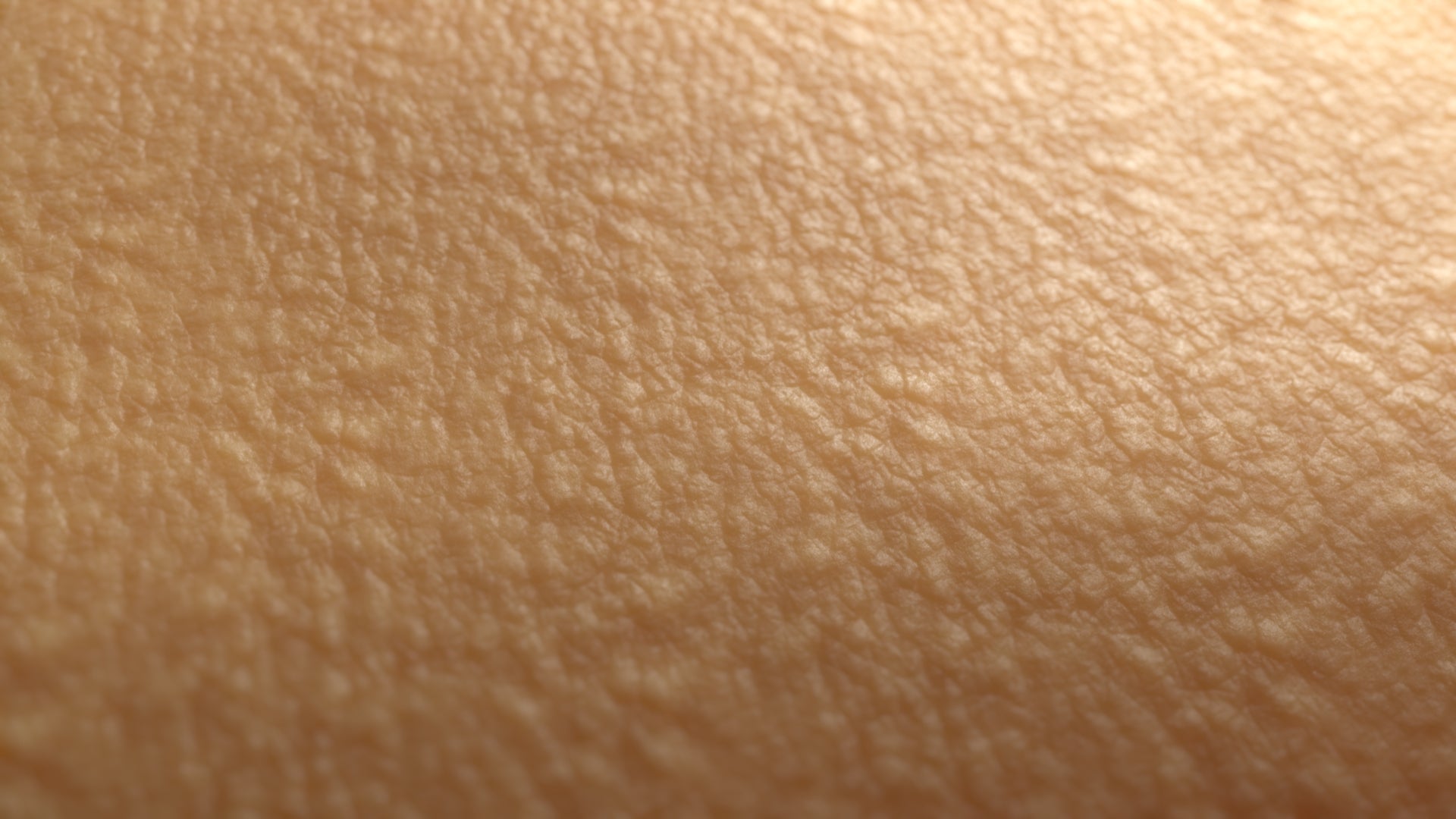 MicroSkin Face Cheek #36 – Texturing.xyz