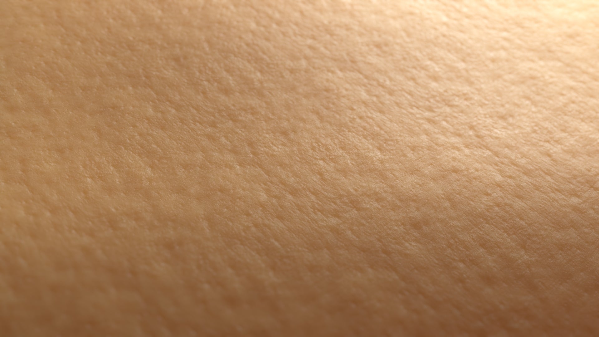 MicroSkin Face Cheek #29 – Texturing.xyz