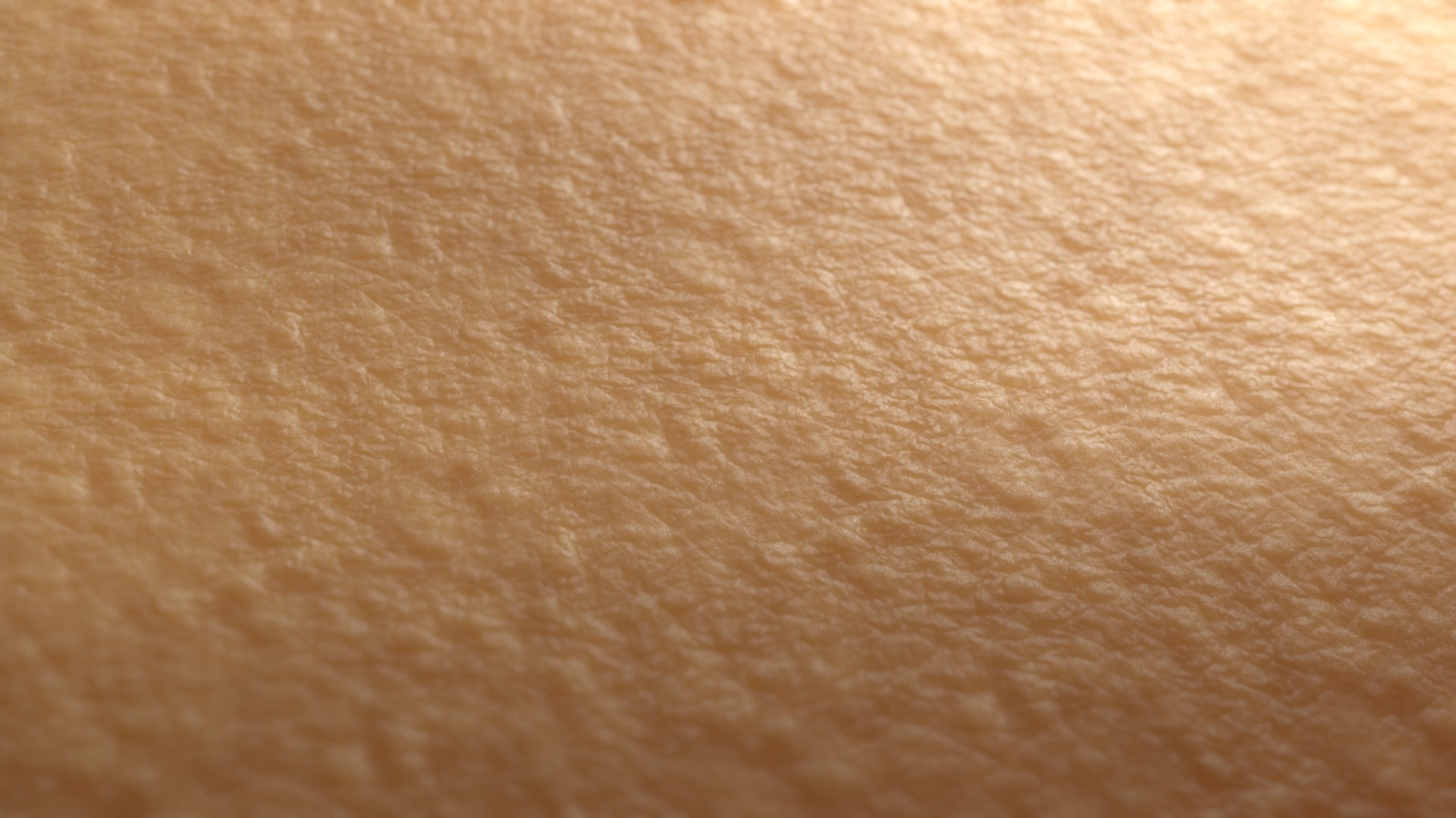 MicroSkin Face Cheek #31 – Texturing.xyz