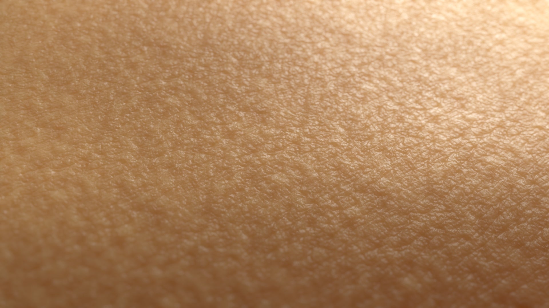MicroSkin Face Cheek #18 – Texturing.xyz