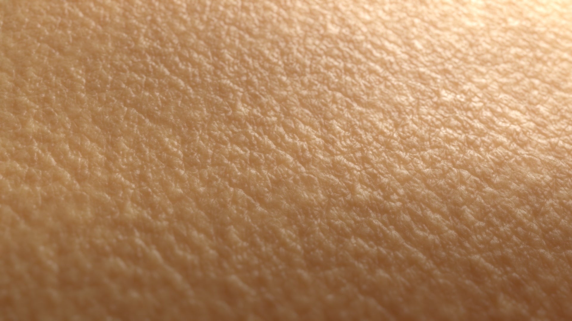 MicroSkin Face Cheek #02 – Texturing.xyz