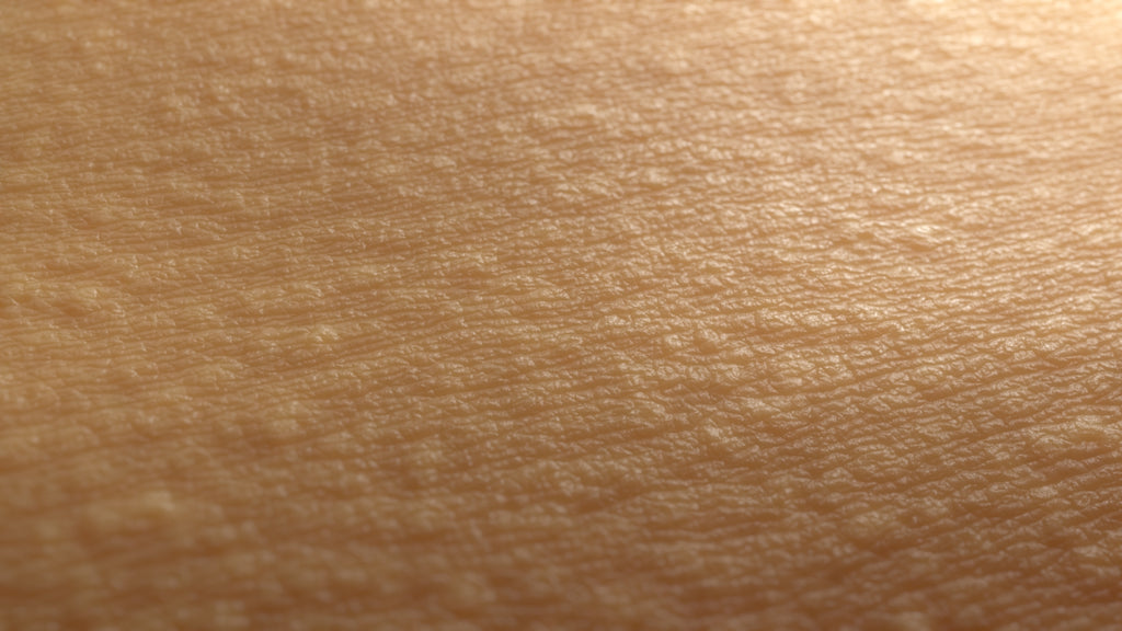 MicroSkin Neck #01 – Texturing.xyz