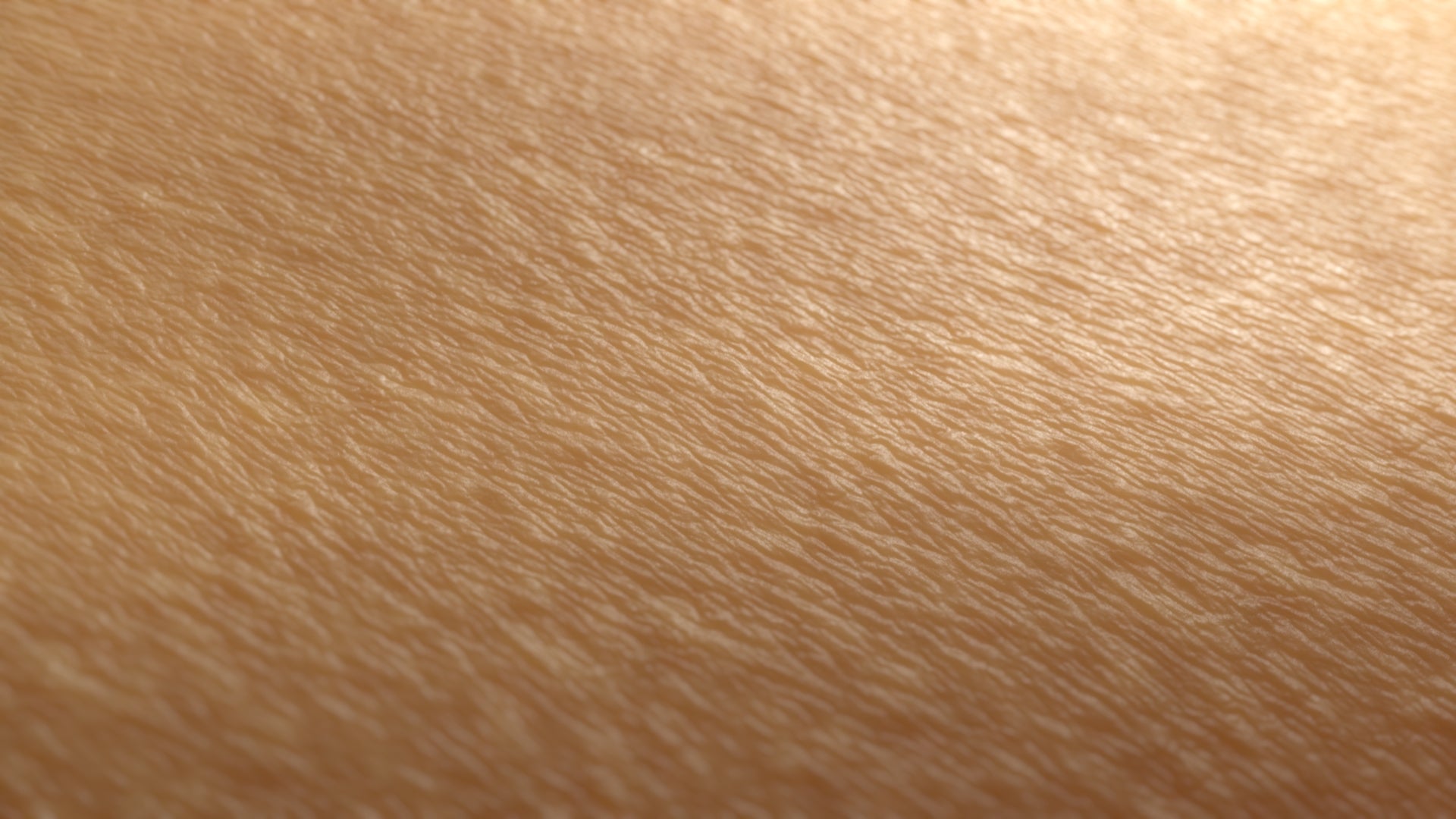 MicroSkin Face Cheek #32 – Texturing.xyz