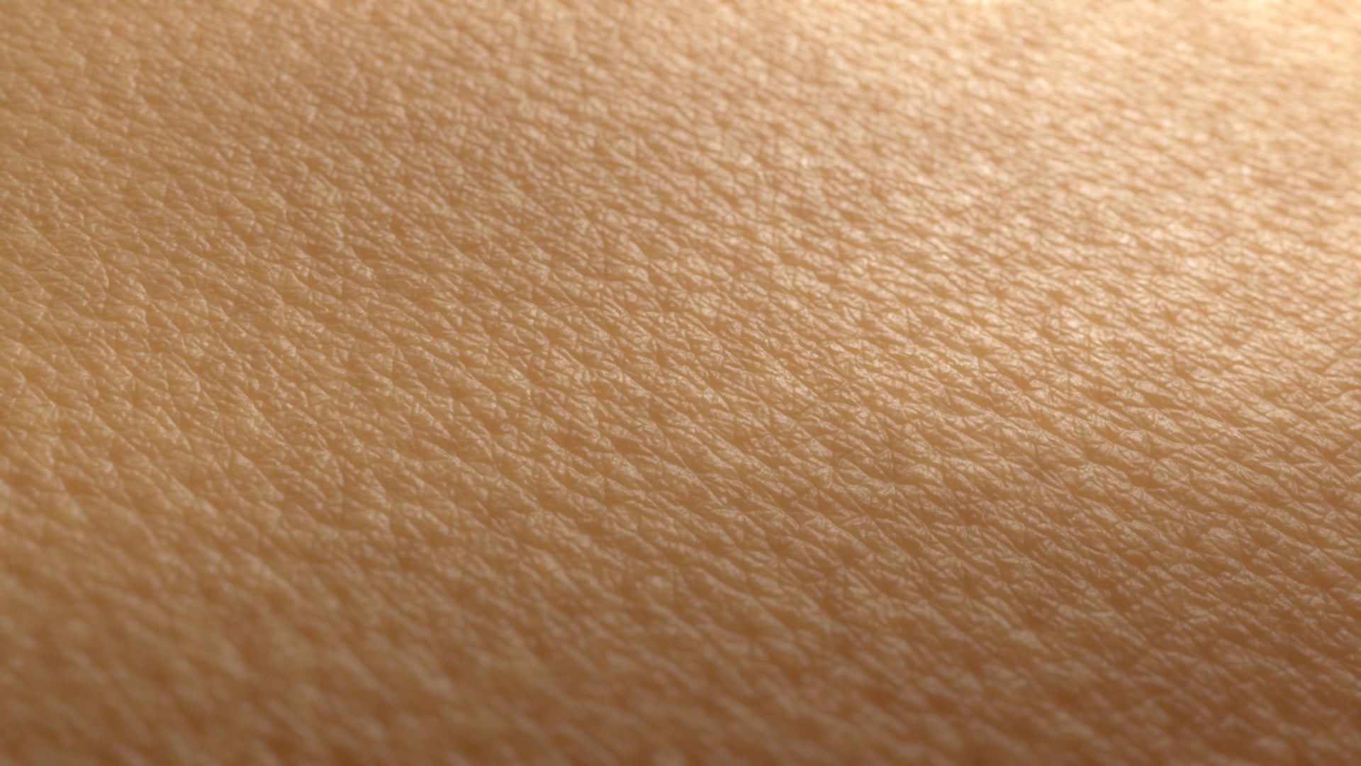 MicroSkin Face Cheek #12 – Texturing.xyz