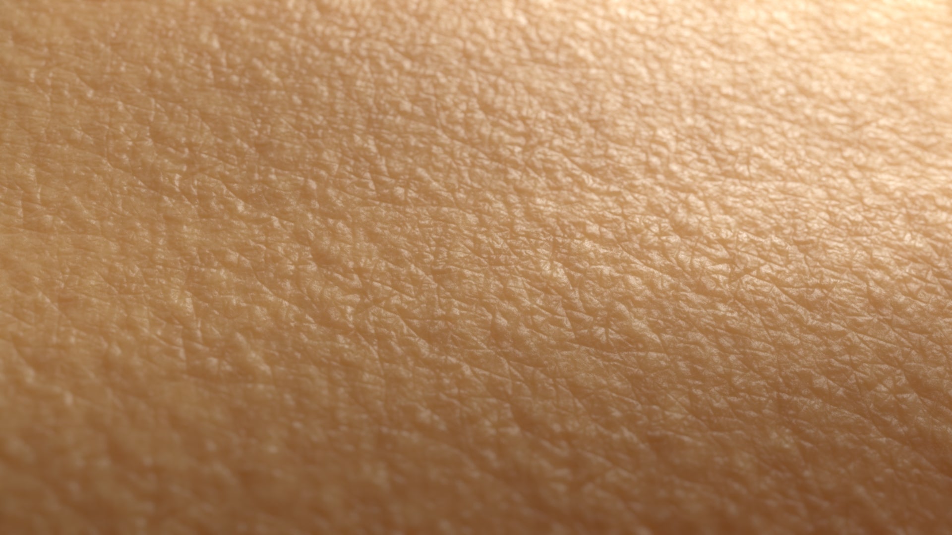 MicroSkin Face Cheek #33 – Texturing.xyz