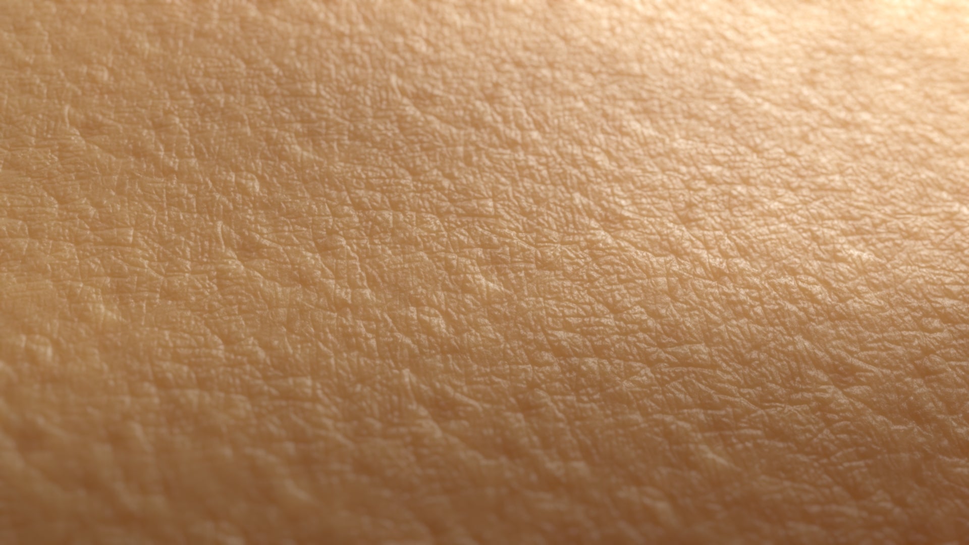 MicroSkin Face Nose #19 – Texturing.xyz