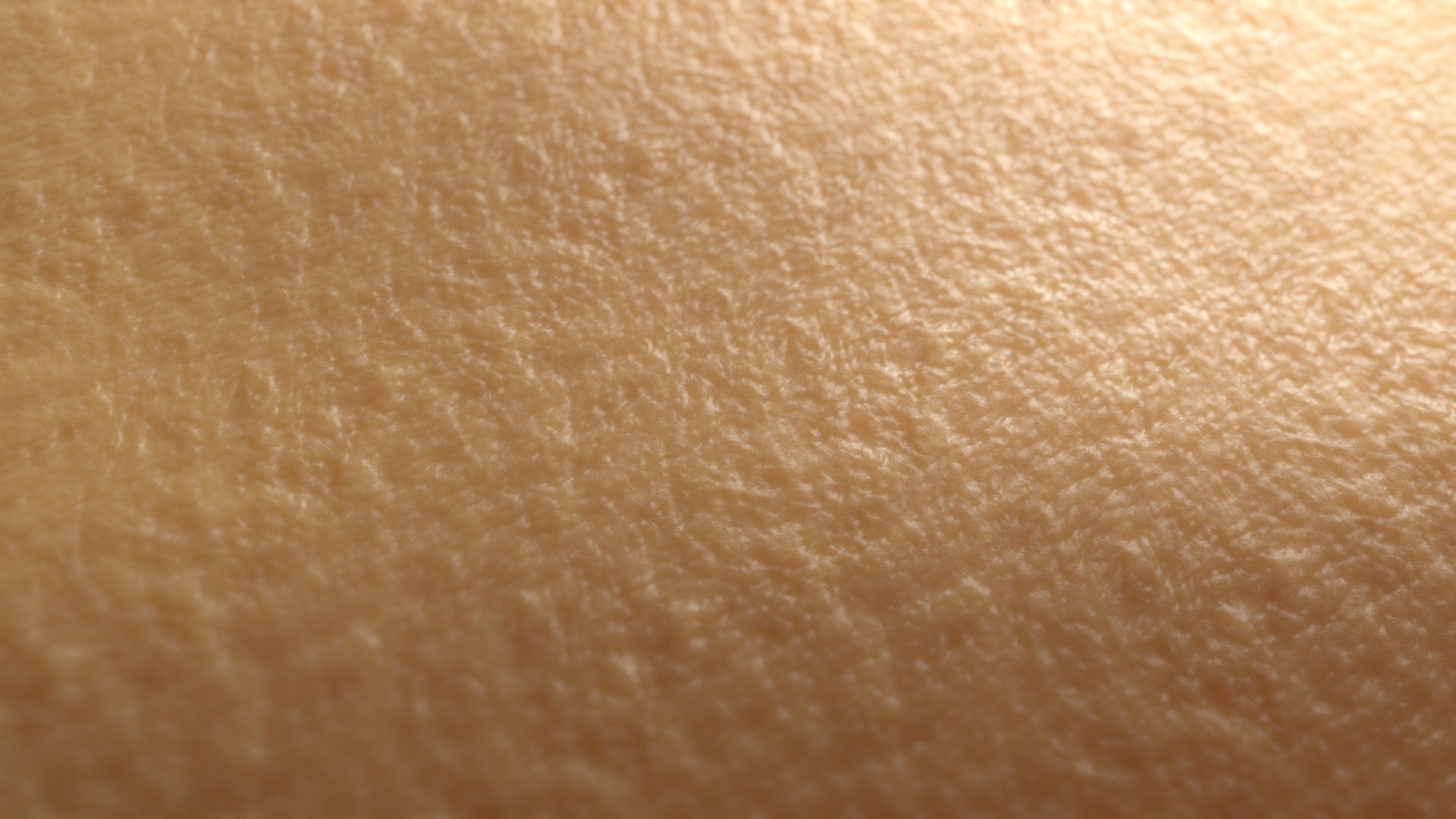 MicroSkin Face Cheek #03 – Texturing.xyz