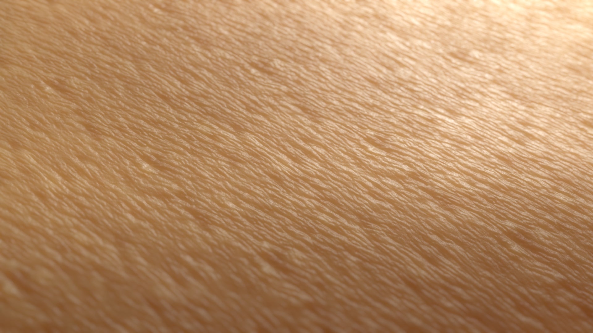 MicroSkin Face Cheek #13 – Texturing.xyz