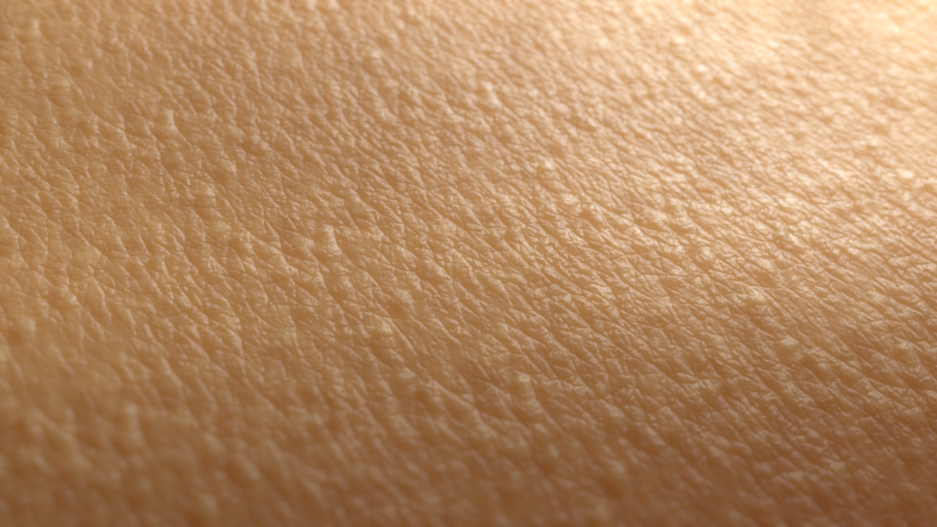 MicroSkin Face Cheek #39 – Texturing.xyz