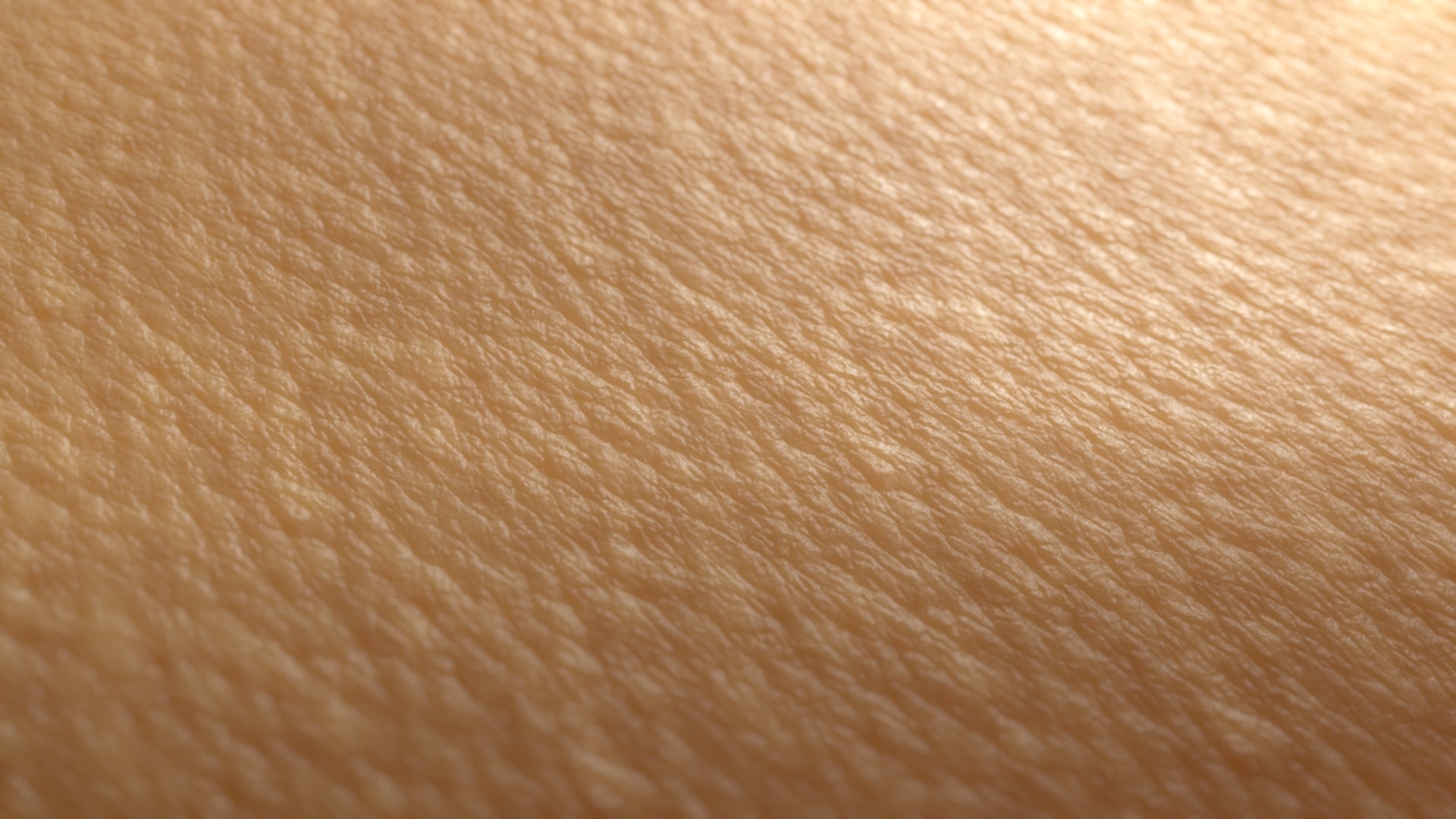 MicroSkin Face Cheek #20 – Texturing.xyz